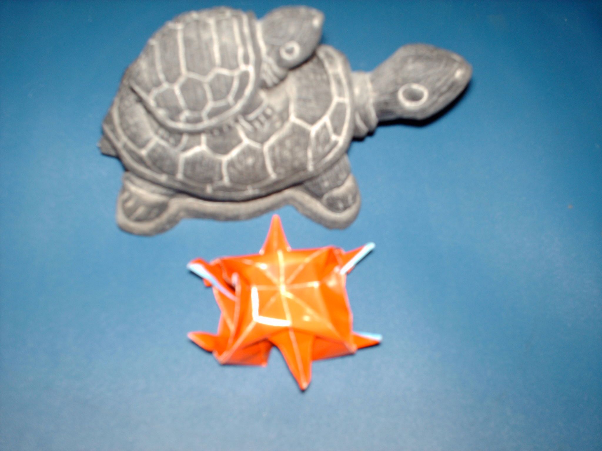 Origami Box Turtle : 6 Steps - Instructables