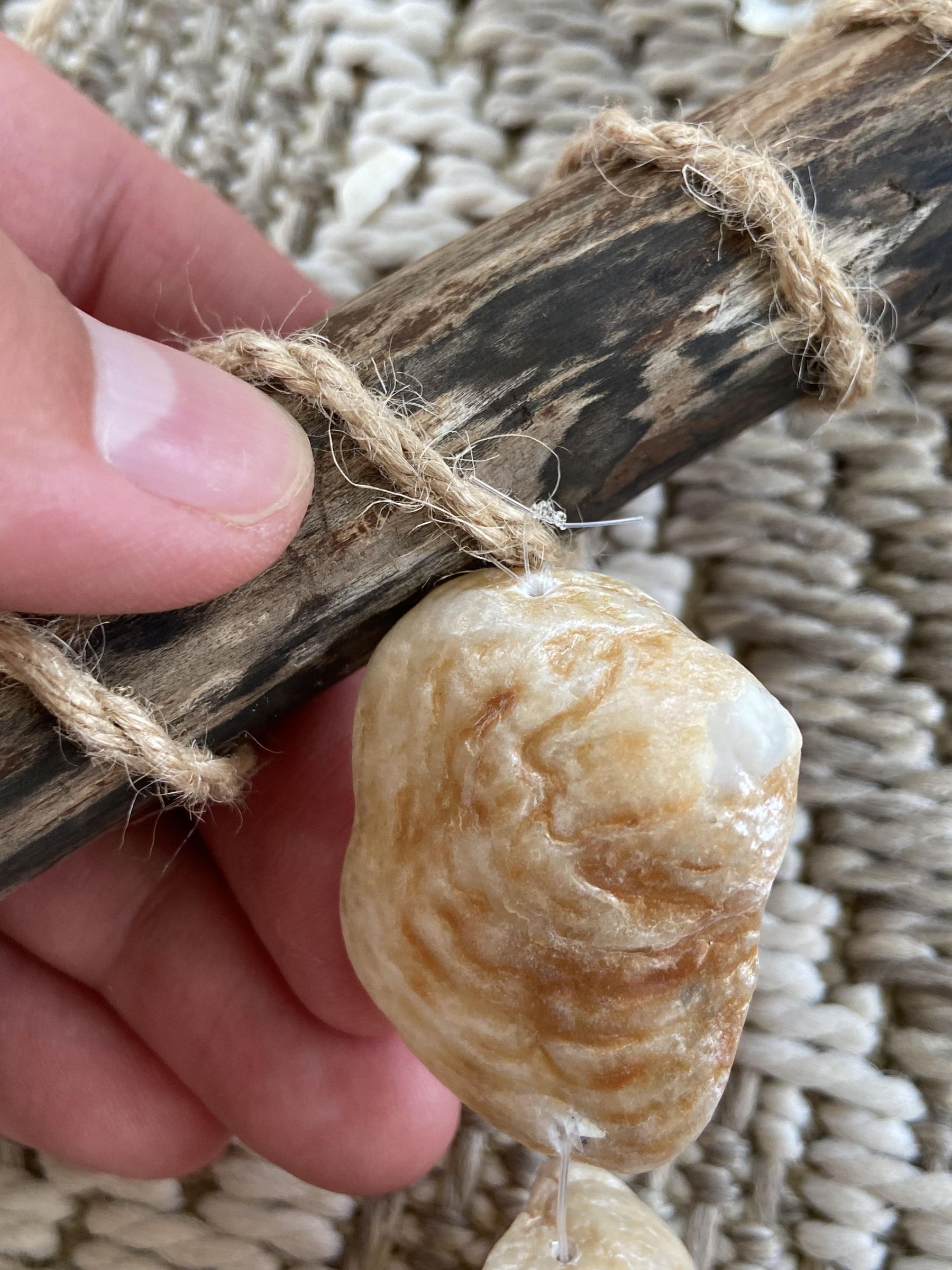 Seashell Wall Hanging : 6 Steps (with Pictures) - Instructables
