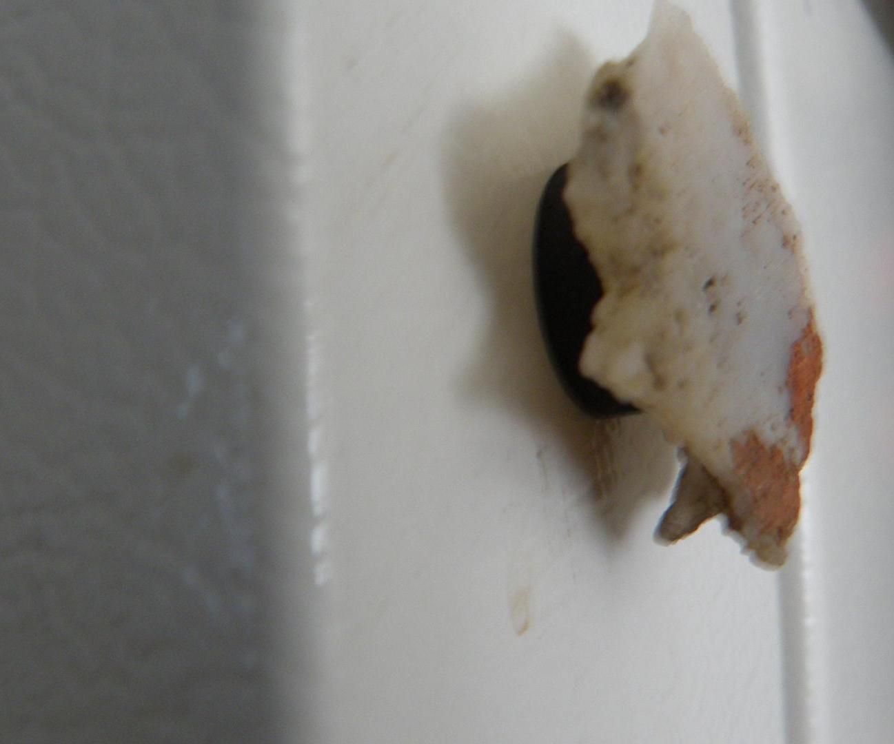How to Make Rock Magnets - Instructables