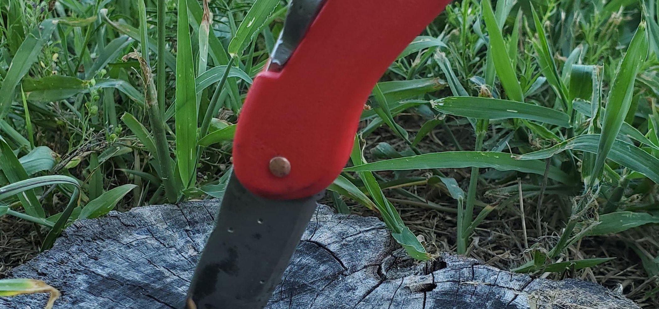 Do We Realy Have to Harden and Temper Our Blades??? : 5 Steps (with ...