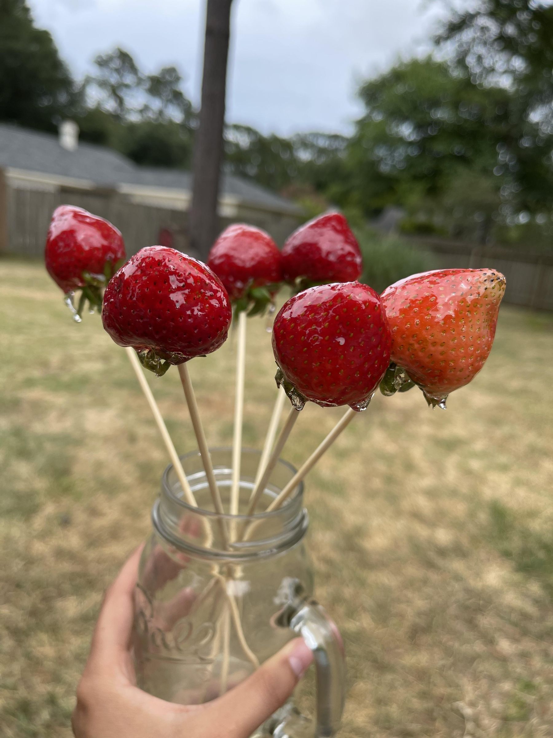 Tanghulu Strawberries : 5 Steps (with Pictures) - Instructables