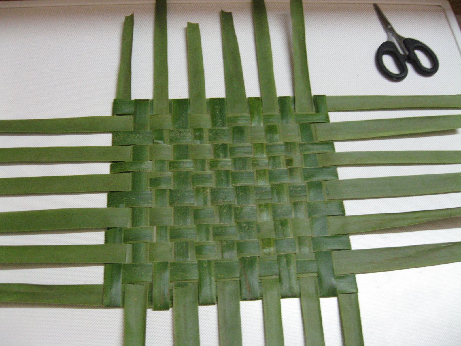 How to Weave a Small Mat From Coconut Leaves : 4 Steps (with Pictures ...