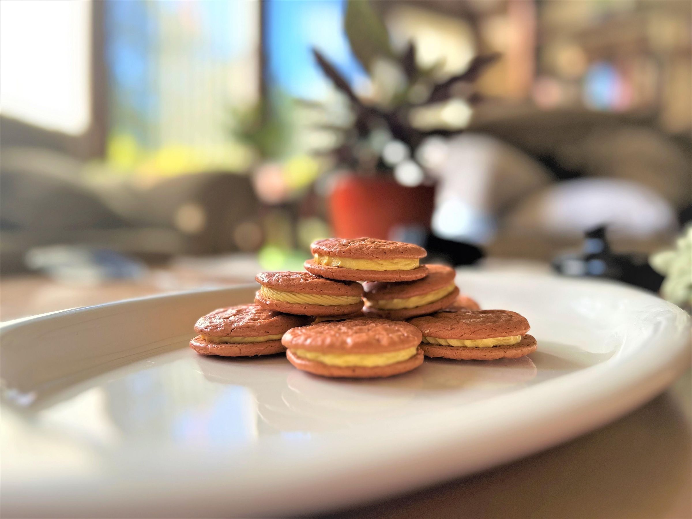 Homemade French Macarons : 7 Steps (with Pictures) - Instructables