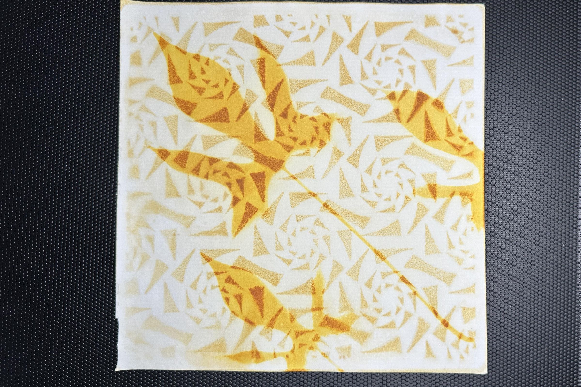 Turmeric Sun Prints/ Impresiones Solares Con Cúrcuma : 12 Steps (with ...