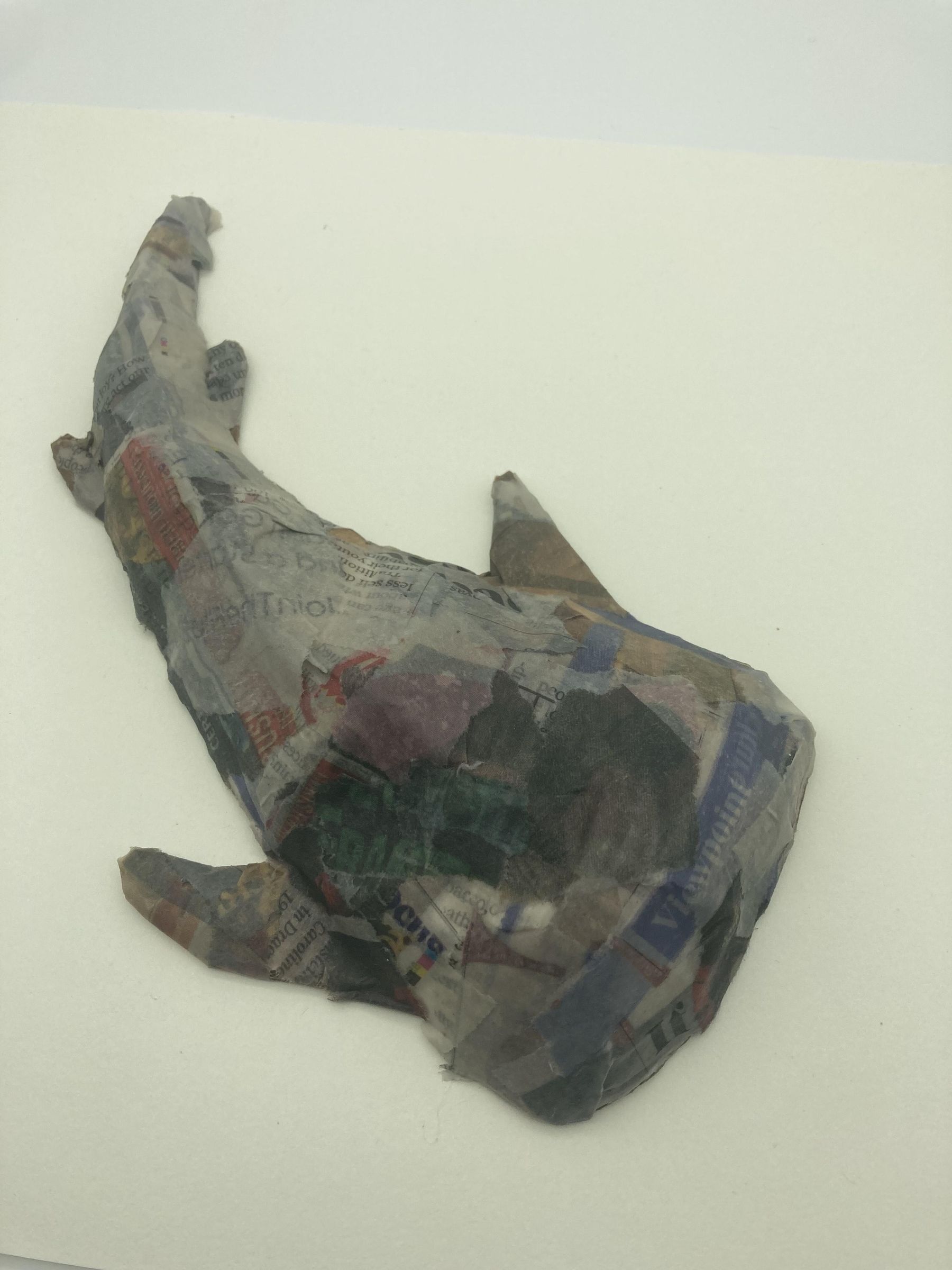 Paper Mâché Wall Whale Shark : 5 Steps (with Pictures) - Instructables