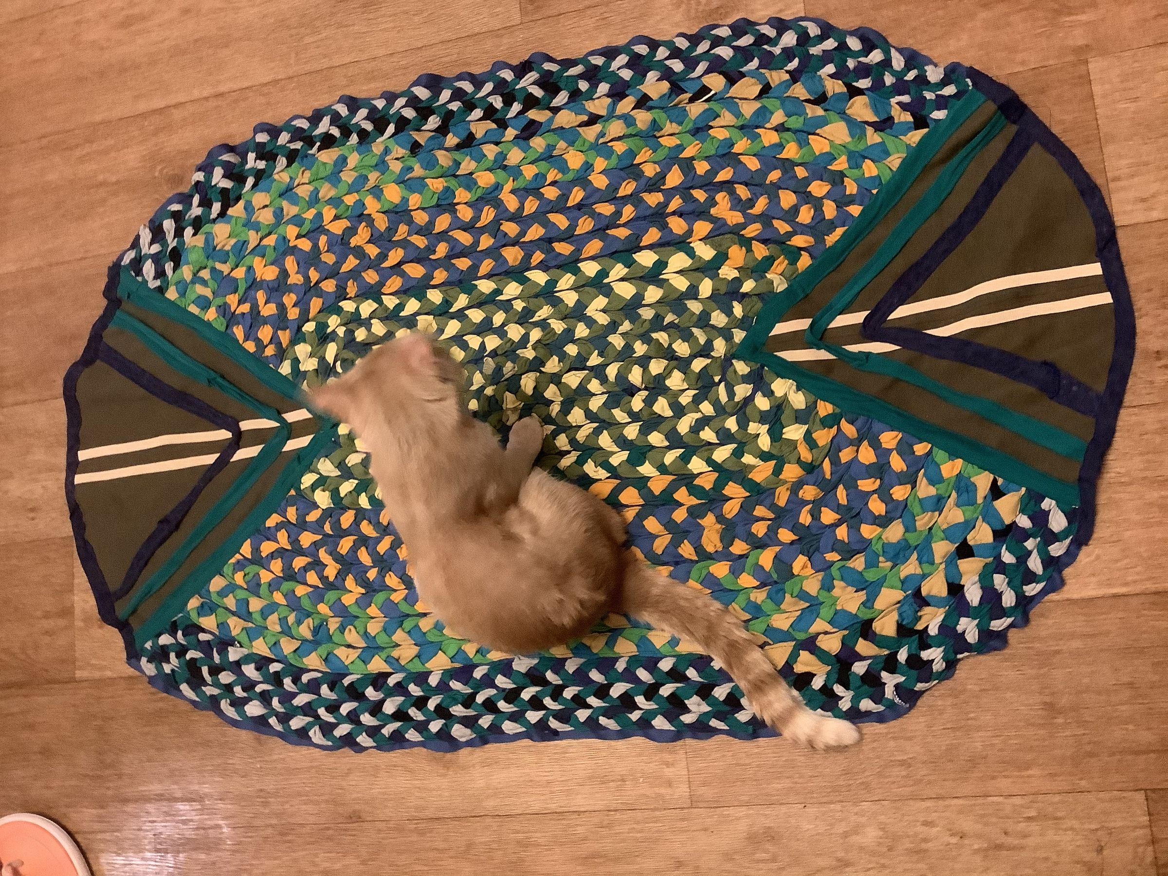 Make a Braided T-shirt Rug : 5 Steps (with Pictures) - Instructables