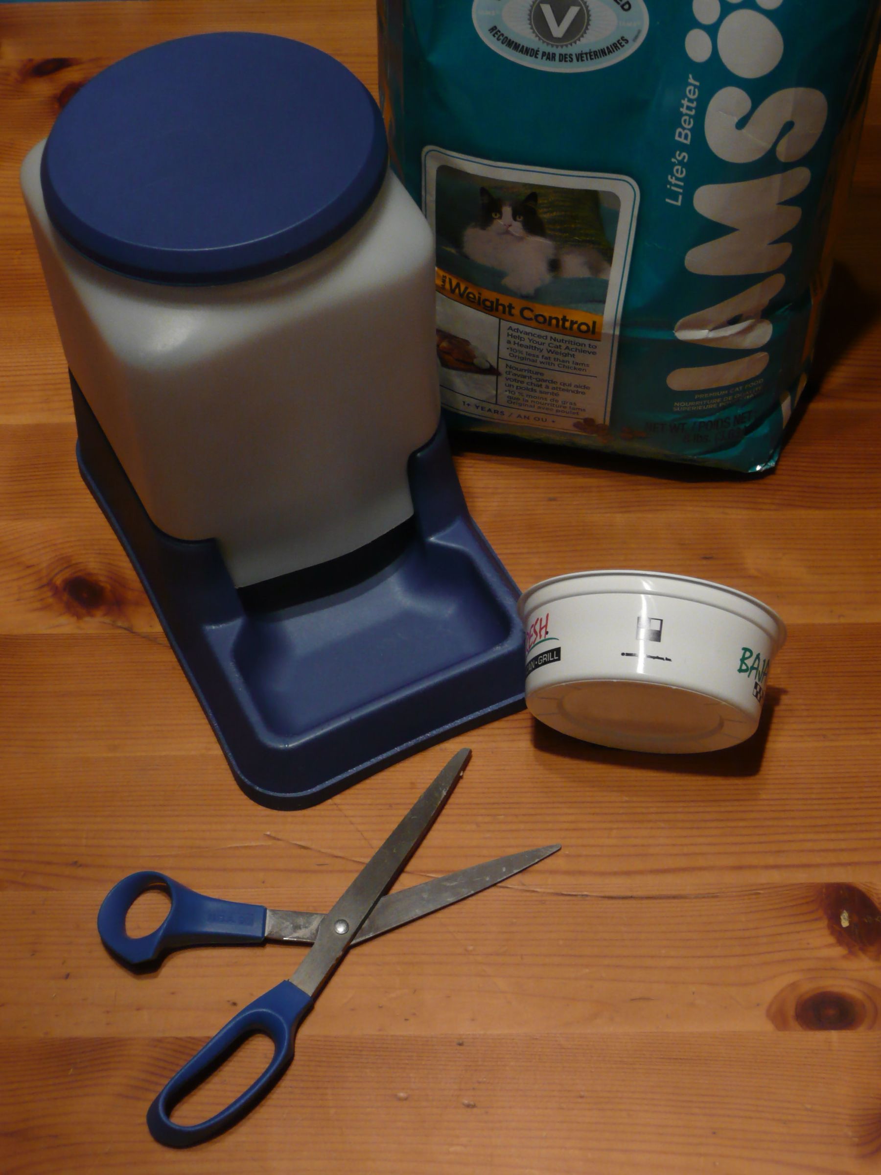 Cat-Powered Automatic Cat Feeder : 4 Steps (with Pictures) - Instructables