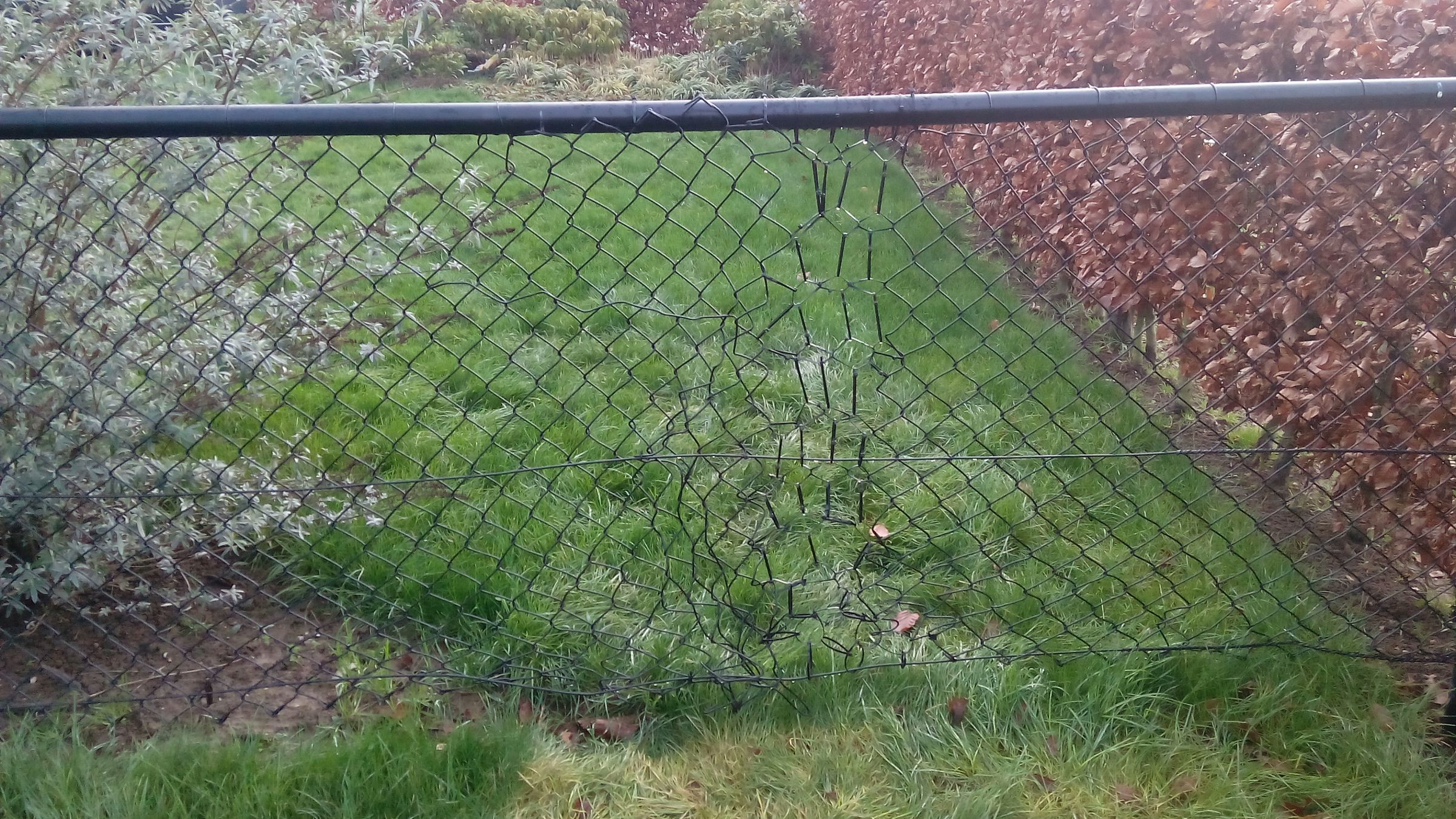 Zip Tie Fence Fix : 3 Steps (with Pictures) - Instructables