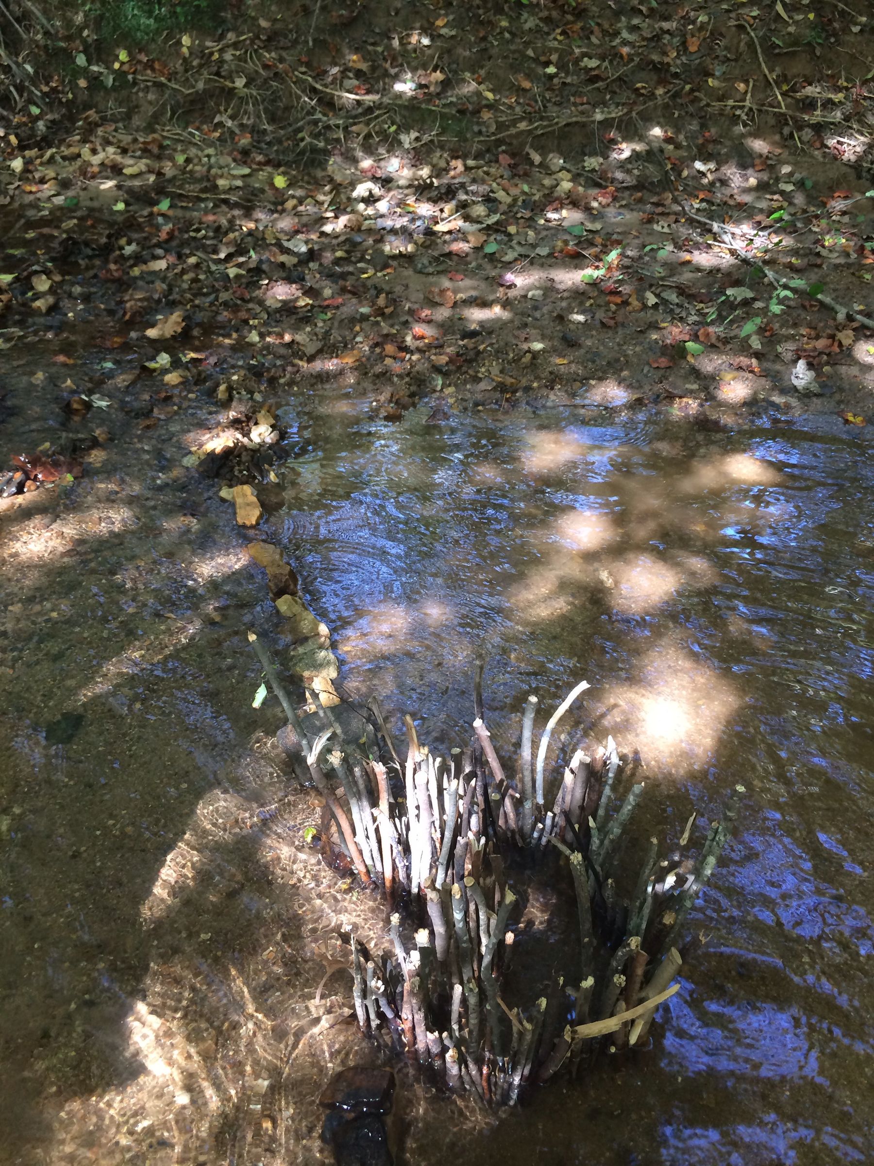 Primitive Fish Trap : 5 Steps - Instructables