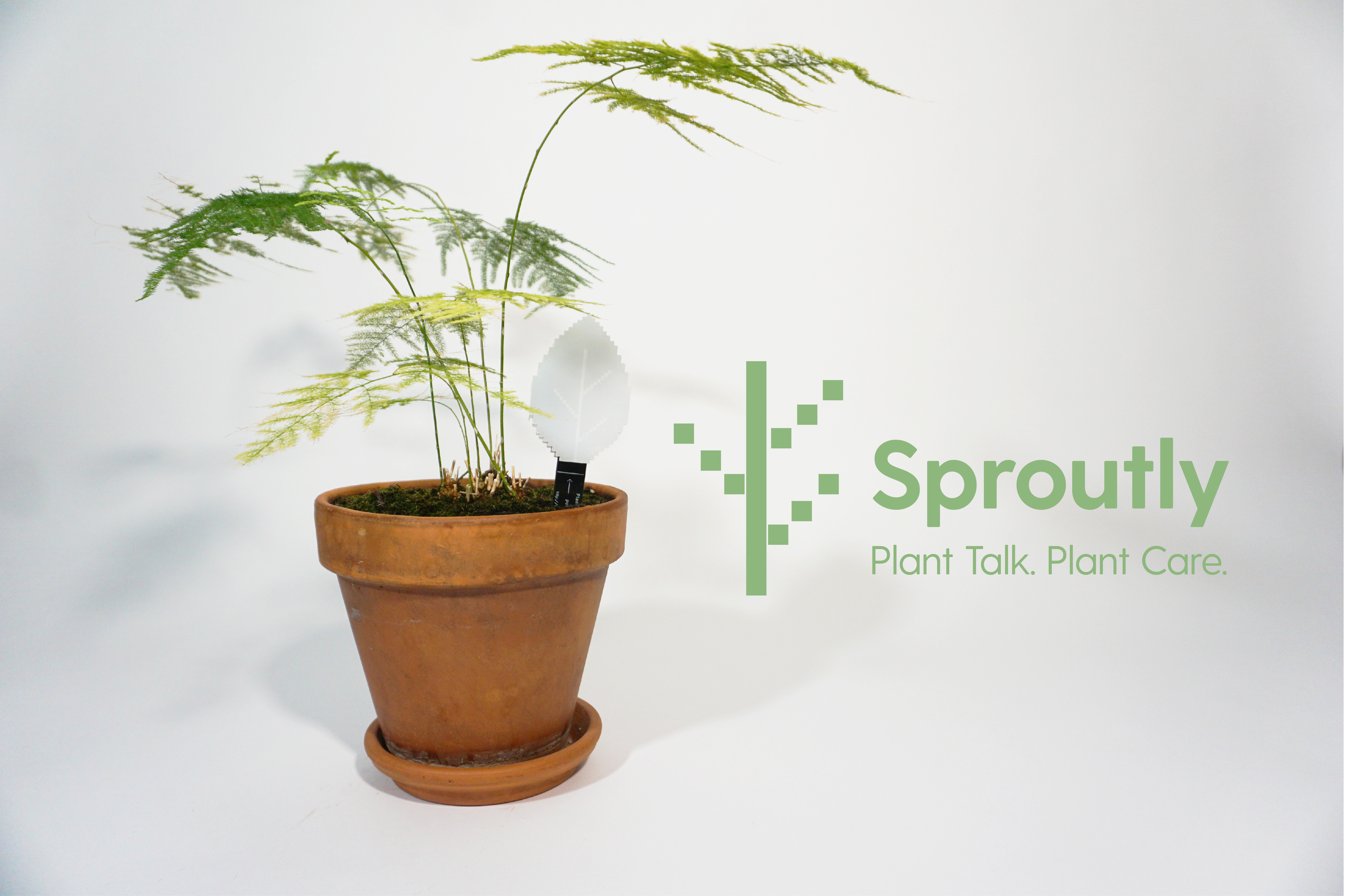 Sproutly : 5 Steps - Instructables