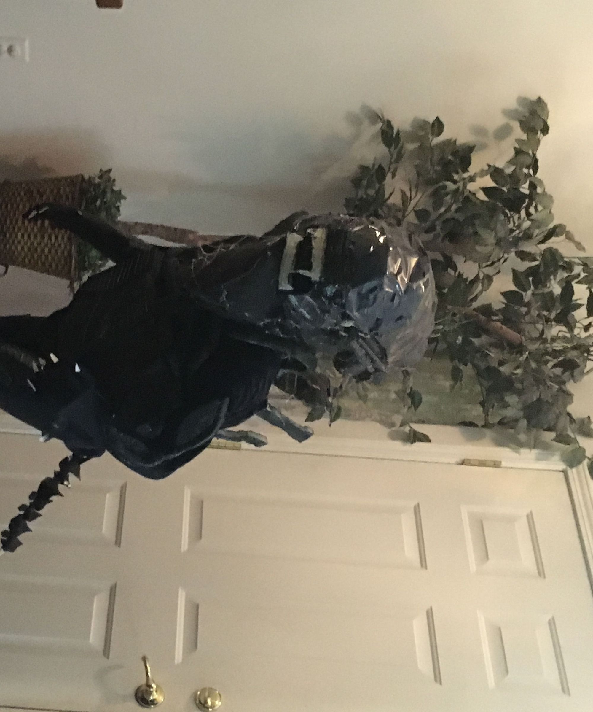 Alien Xenomorph Drone Cosplay 1979 Suit : 6 Steps - Instructables