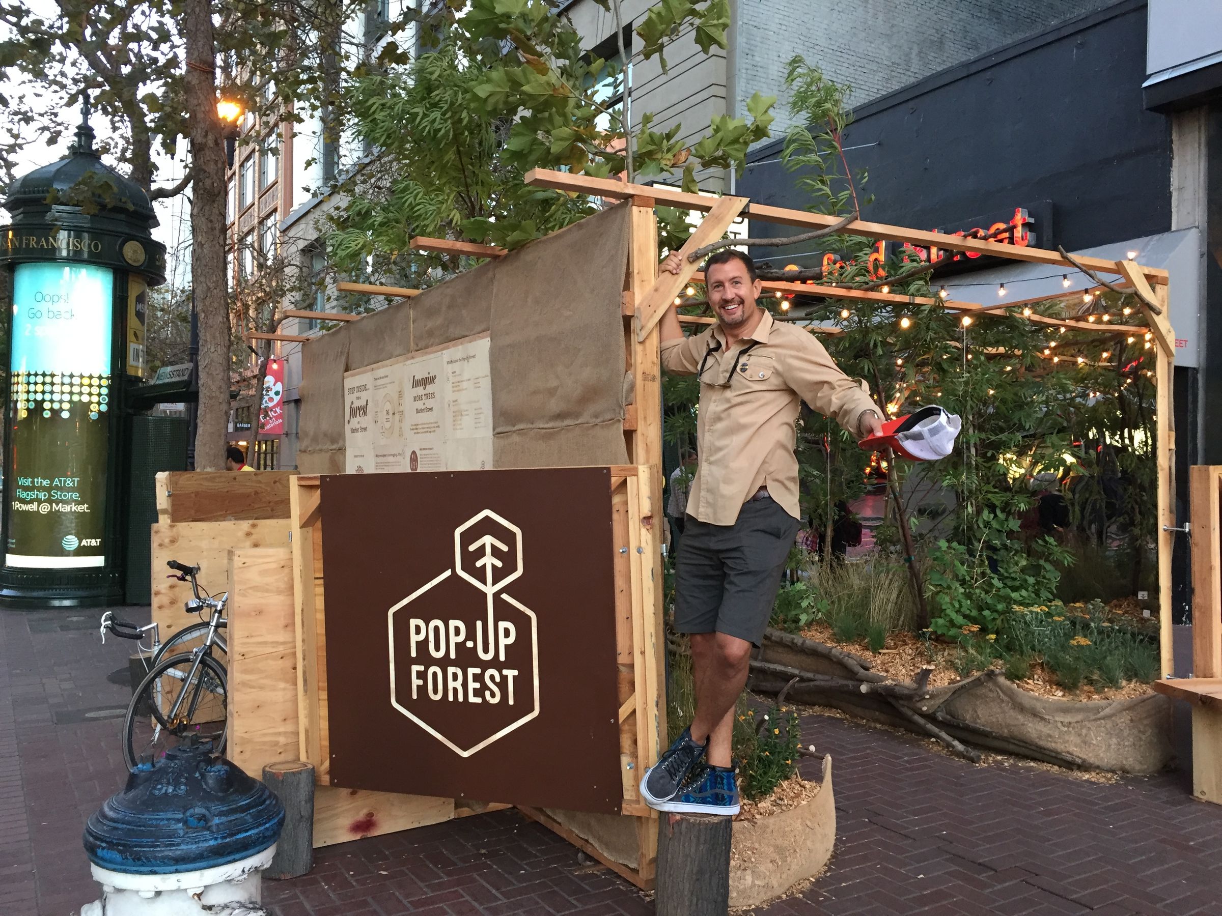 How to Create a Pop-Up Forest! : 6 Steps (with Pictures) - Instructables