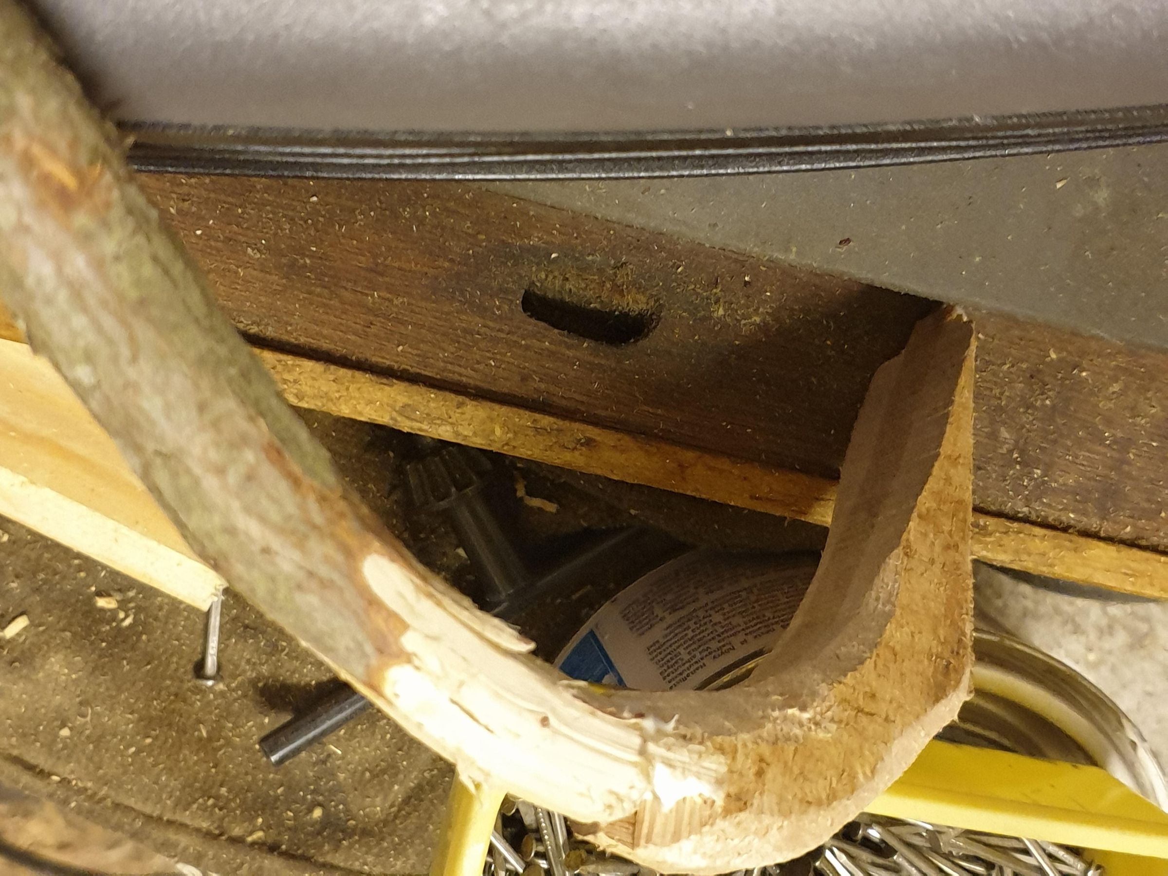 Handmade Wooden Ribcage : 8 Steps (with Pictures) - Instructables