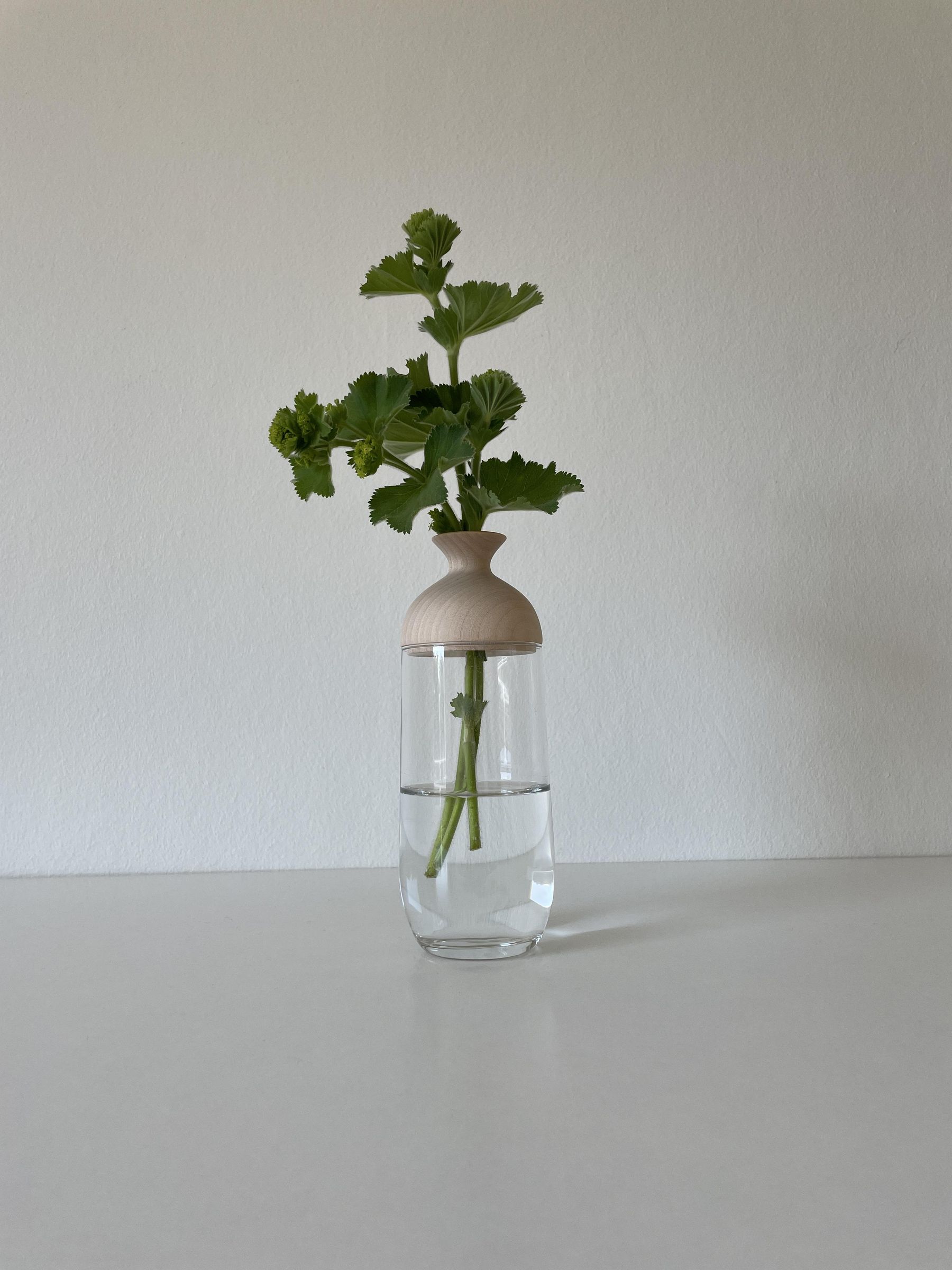 Turn/reuse Your Glasses in to Vases : 9 Steps (with Pictures ...