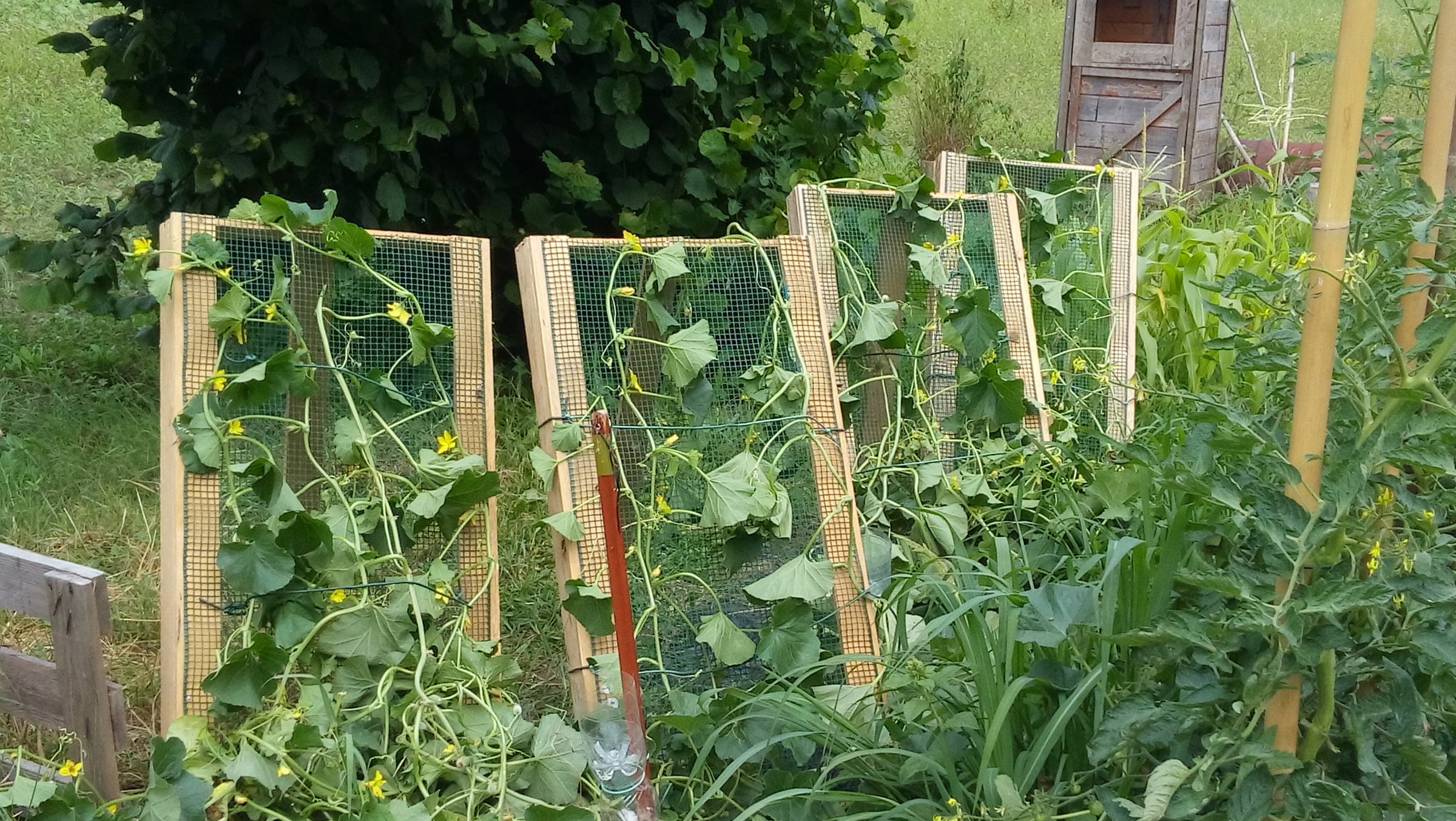 Horticultural Solar Panel : 3 Steps (with Pictures) - Instructables