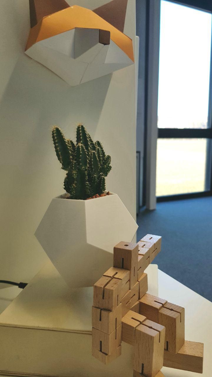DIY Levitating Plant! : 7 Steps (with Pictures) - Instructables