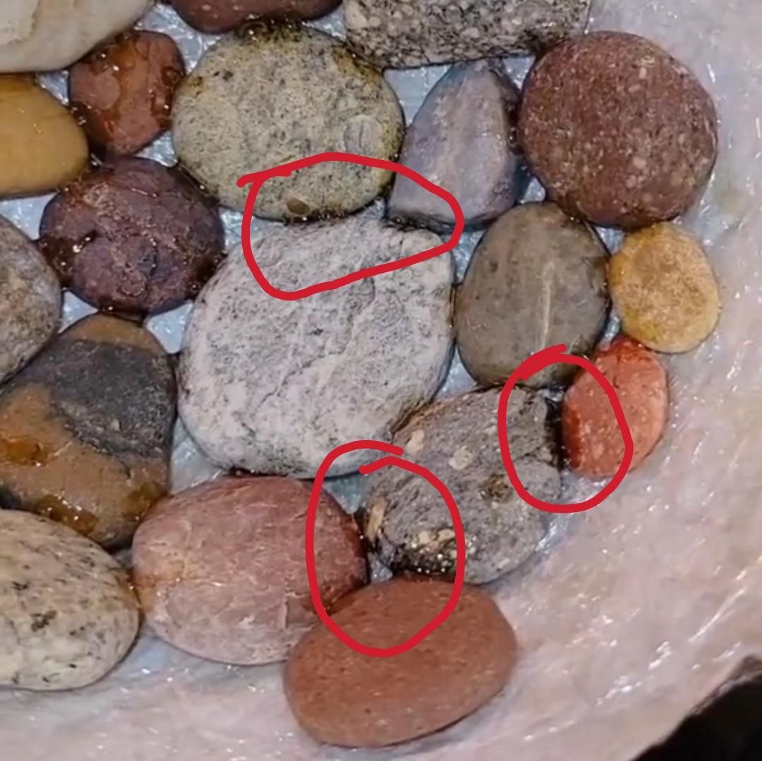 Rock Ball Garden Decor : 4 Steps (with Pictures) - Instructables