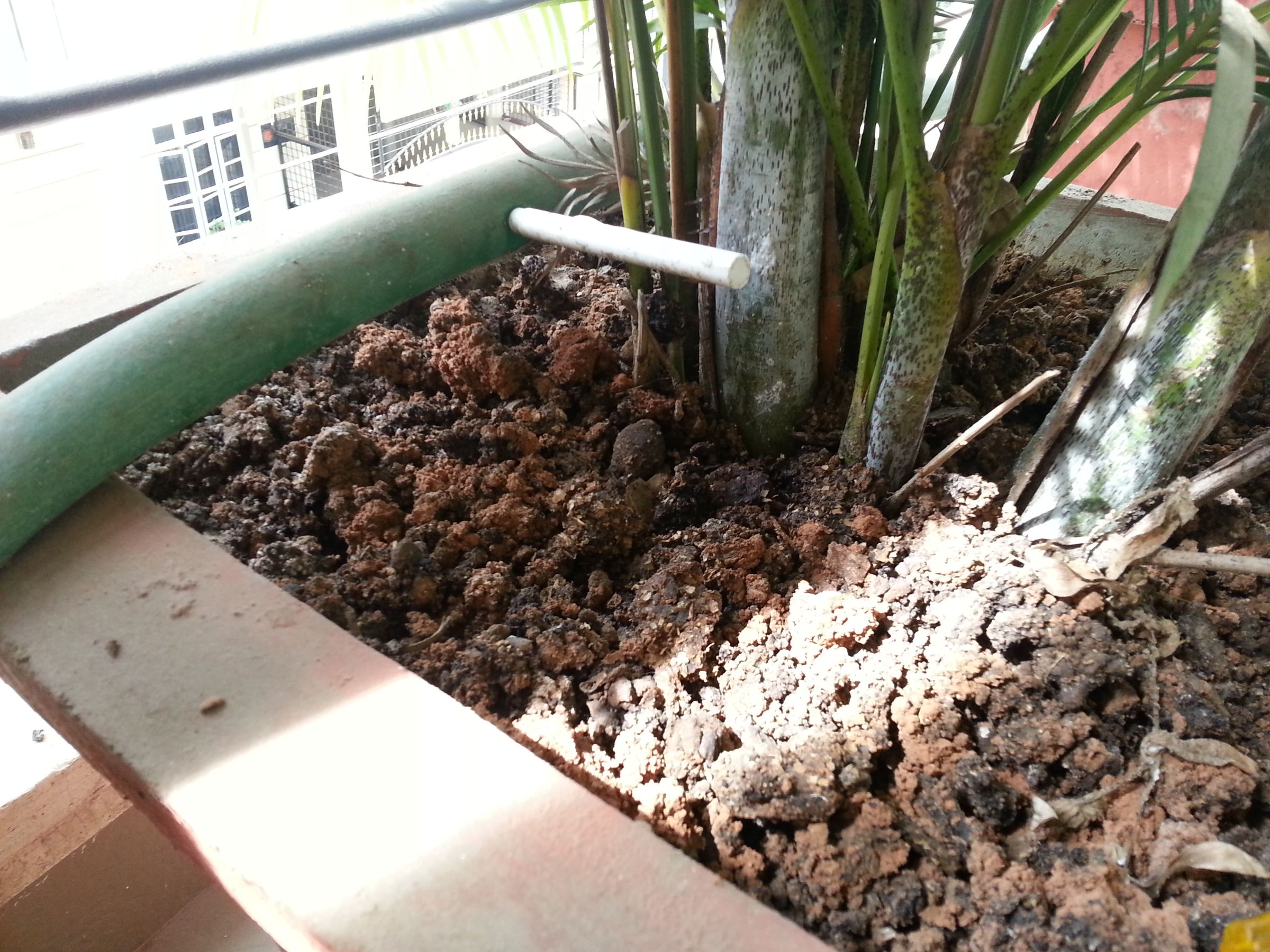 Home Plant-watering System : 4 Steps - Instructables