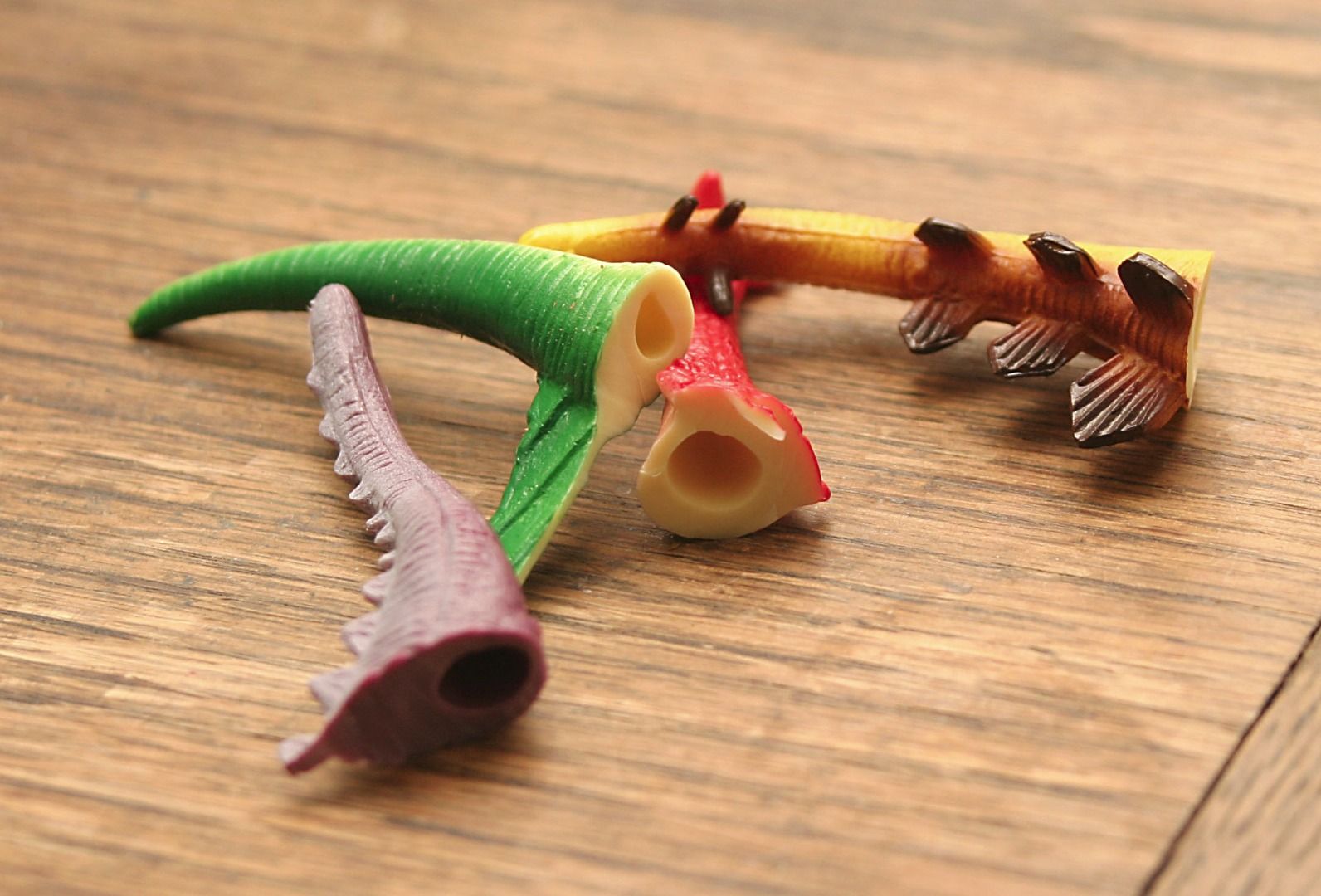Dinosaur Coat Hooks : 6 Steps (with Pictures) - Instructables