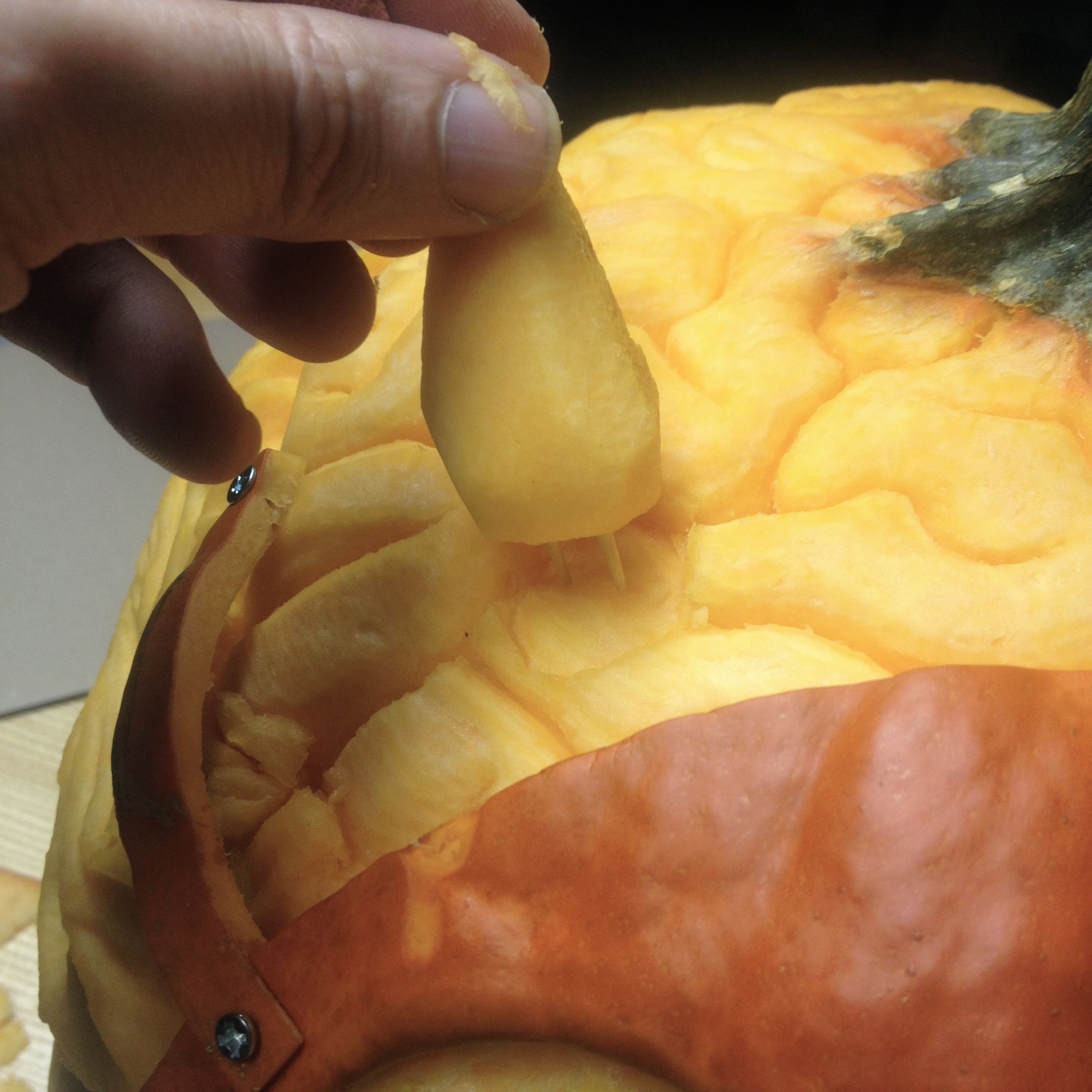 Menace to the Pumpkin Patch : 9 Steps (with Pictures) - Instructables