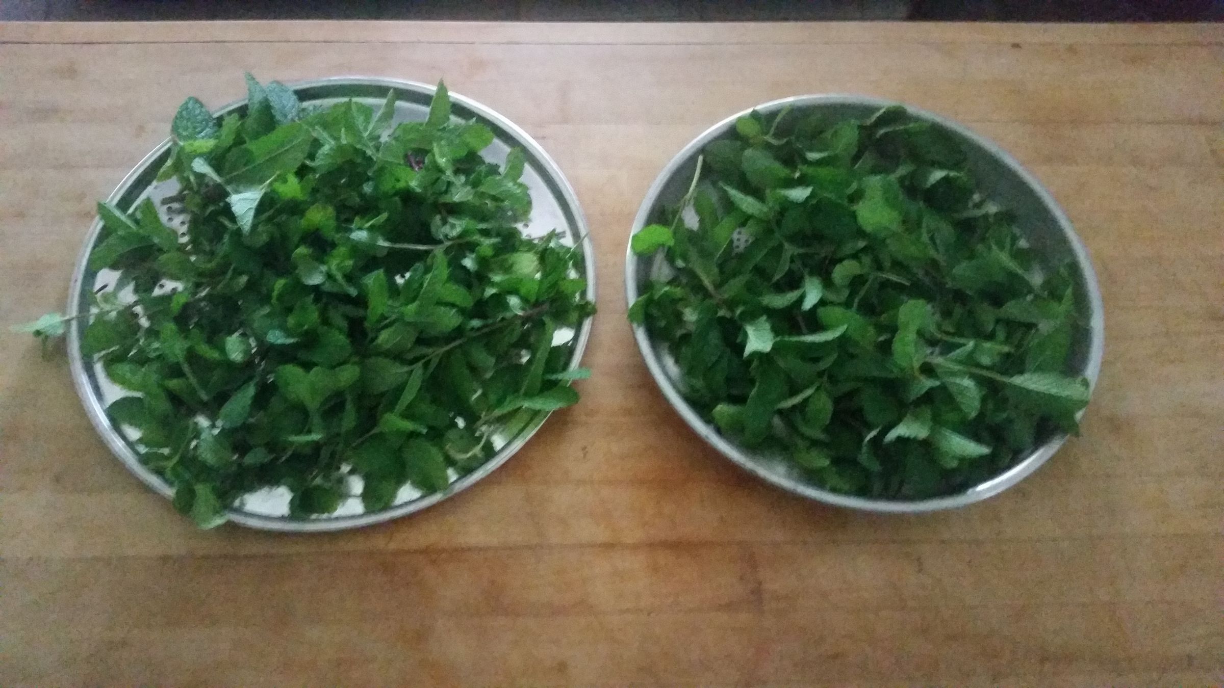 Homemade Herb Oils : 5 Steps (with Pictures) - Instructables