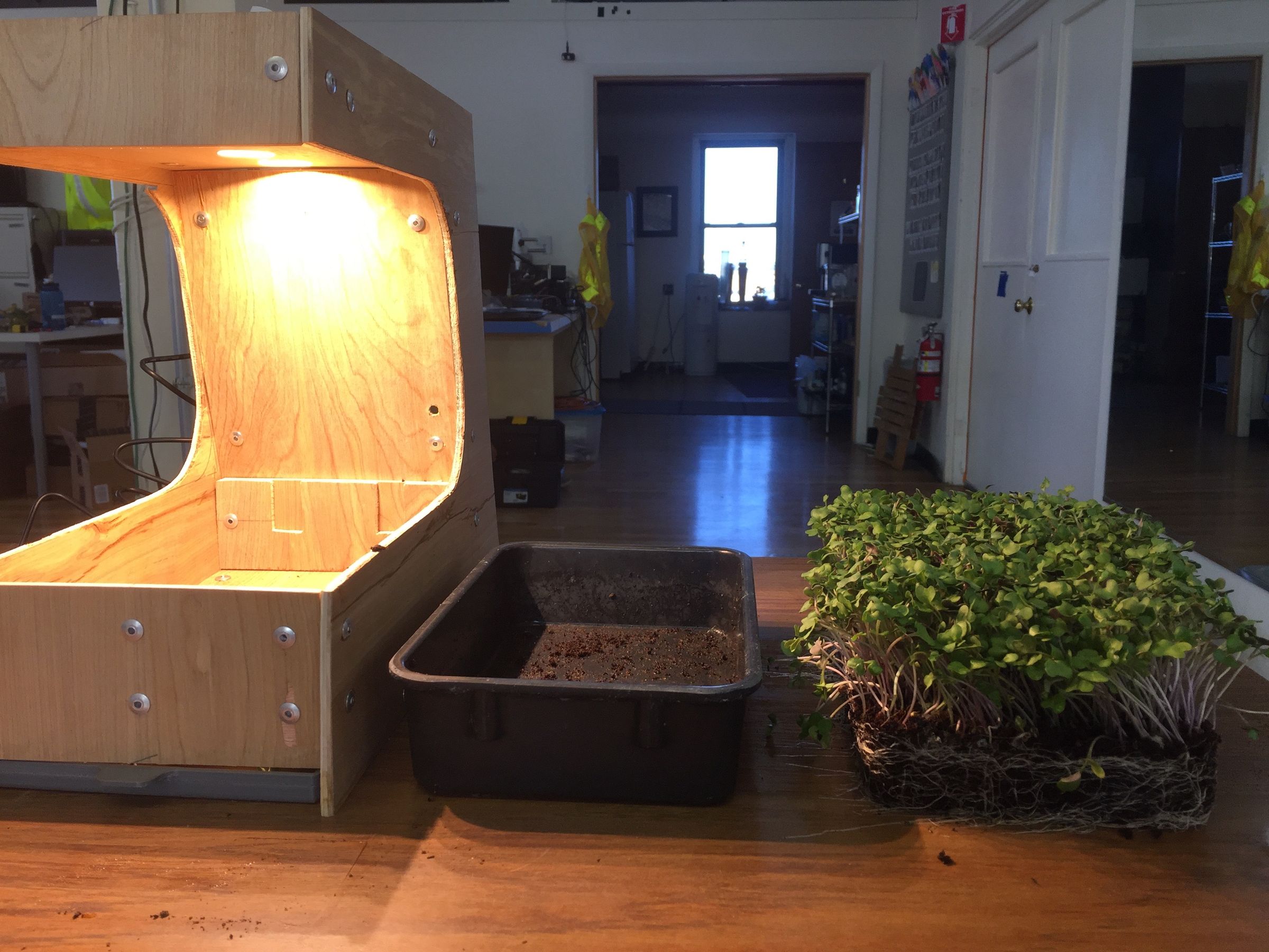 Desktop Gardening, Plantbot Alpha : 5 Steps - Instructables