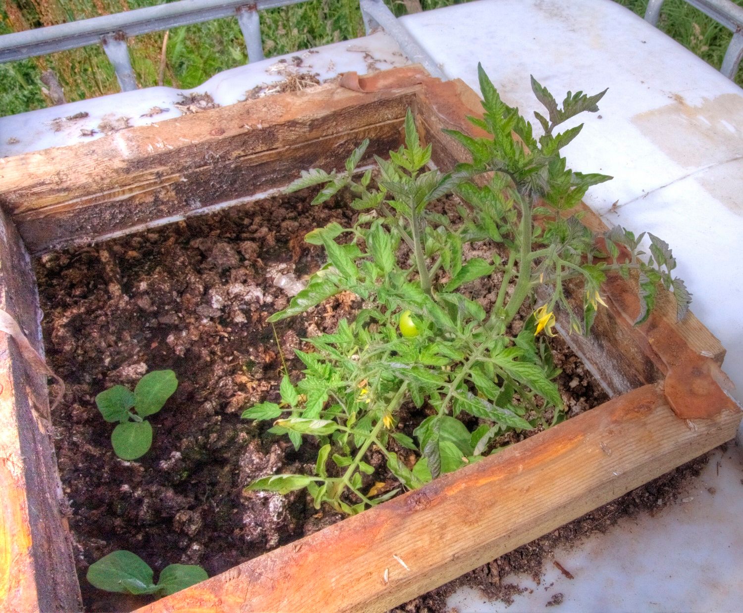 The 'Easy Empty' Composting Toilet Project: Part 2 - Superstructure ...