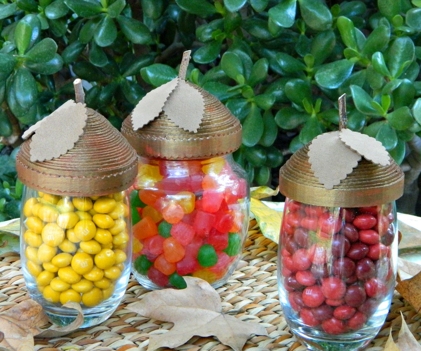 Acorn Candy Dishes : 5 Steps (with Pictures) - Instructables