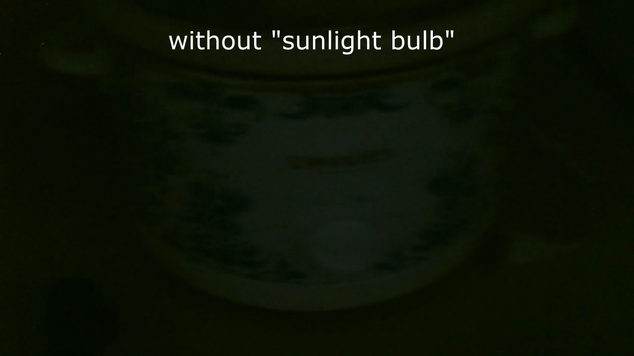 Solar (Soda Bottle) Light Bulbs! - DIY (Solartubes) - Pure Natural ...
