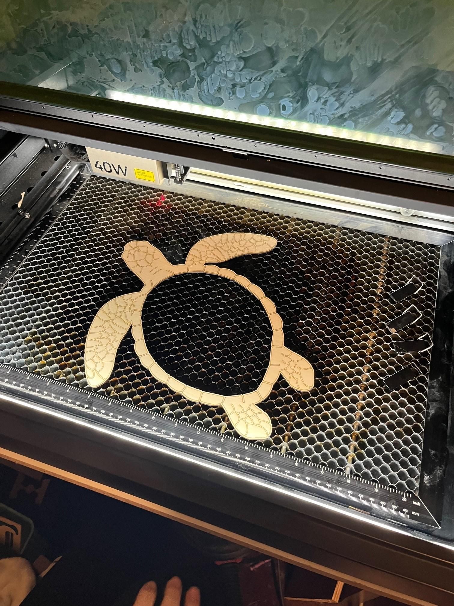 Sea Turtle-Shaped Shadow Box : 6 Steps (with Pictures) - Instructables