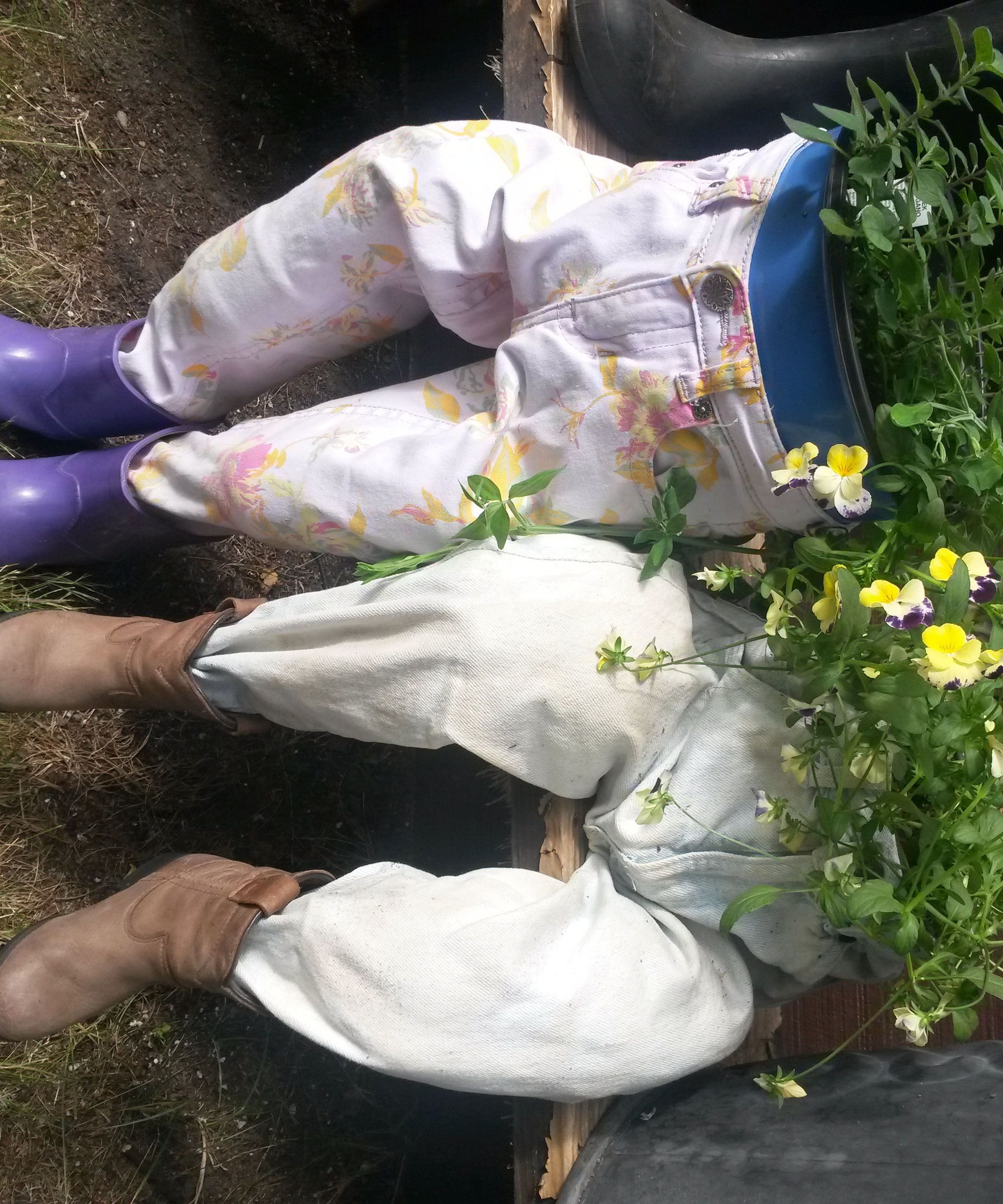 Personable Planter Pants : 4 Steps (with Pictures) - Instructables