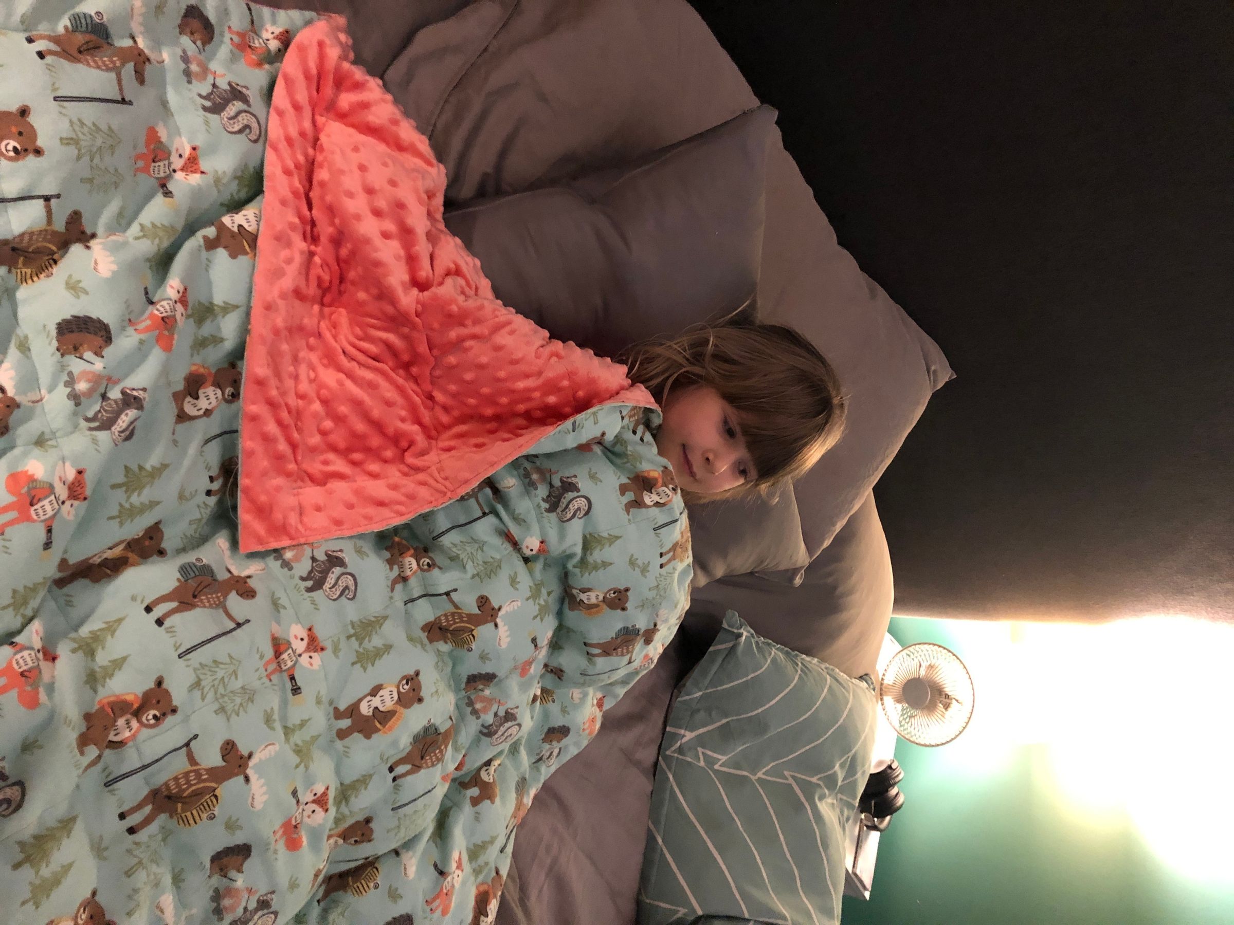 Weighted Blanket - Including What to Know Before You Start : 14 Steps ...
