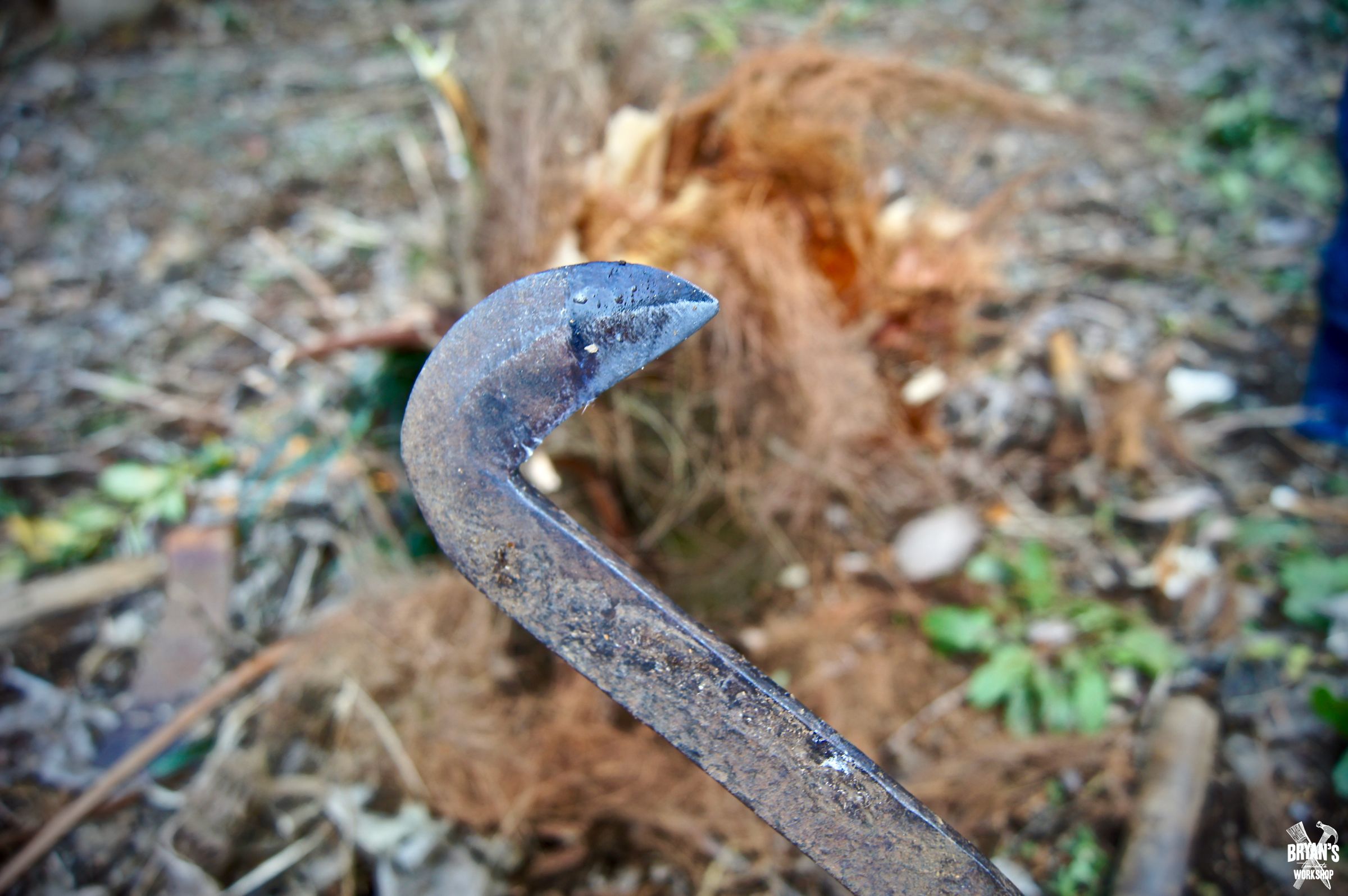 How to Make Rope Using Windmill Palm Tree Fiber! : 6 Steps (with ...