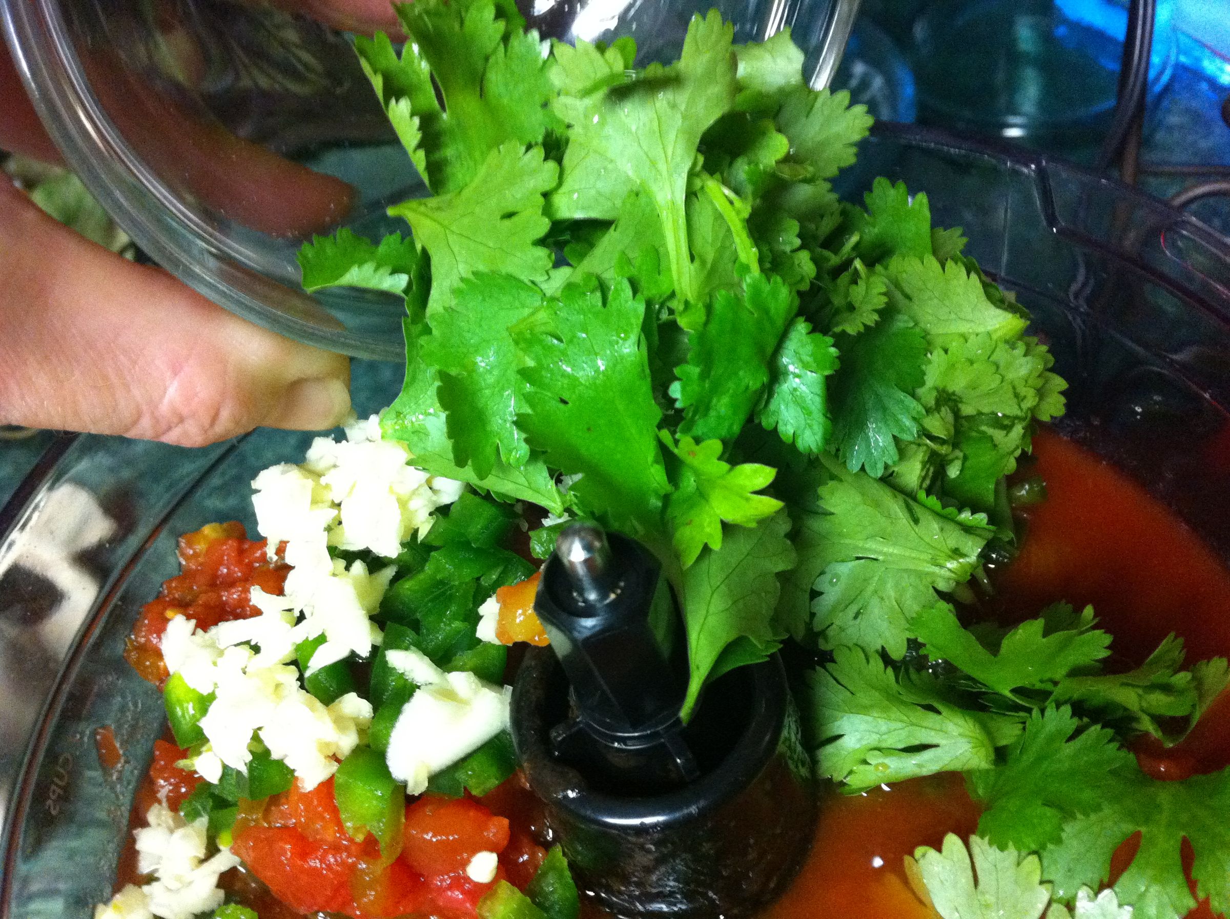 How to Make Easy, Restaurant Style Salsa... : 18 Steps (with Pictures ...