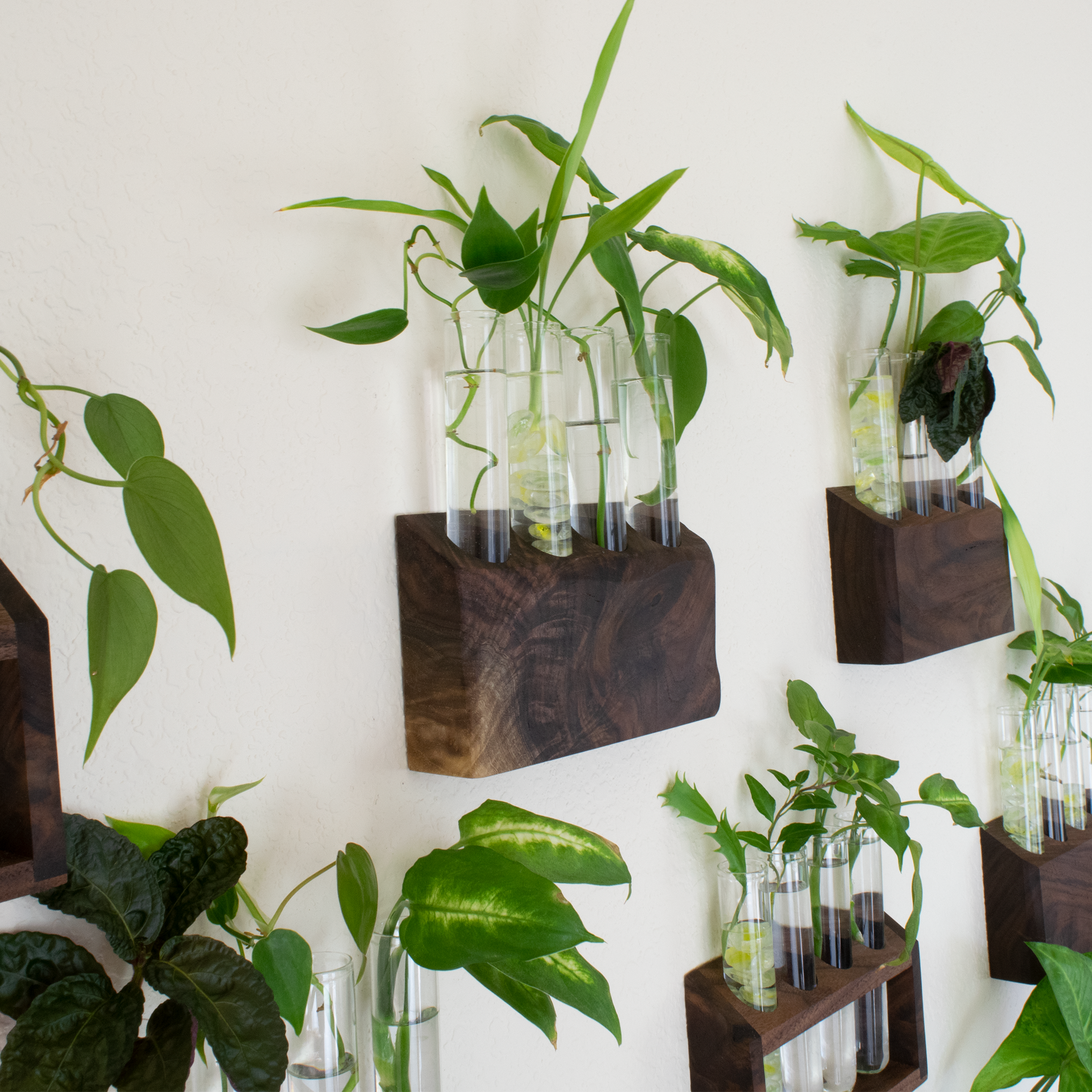 Propagation Station (3 Designs) : 10 Steps (with Pictures) - Instructables