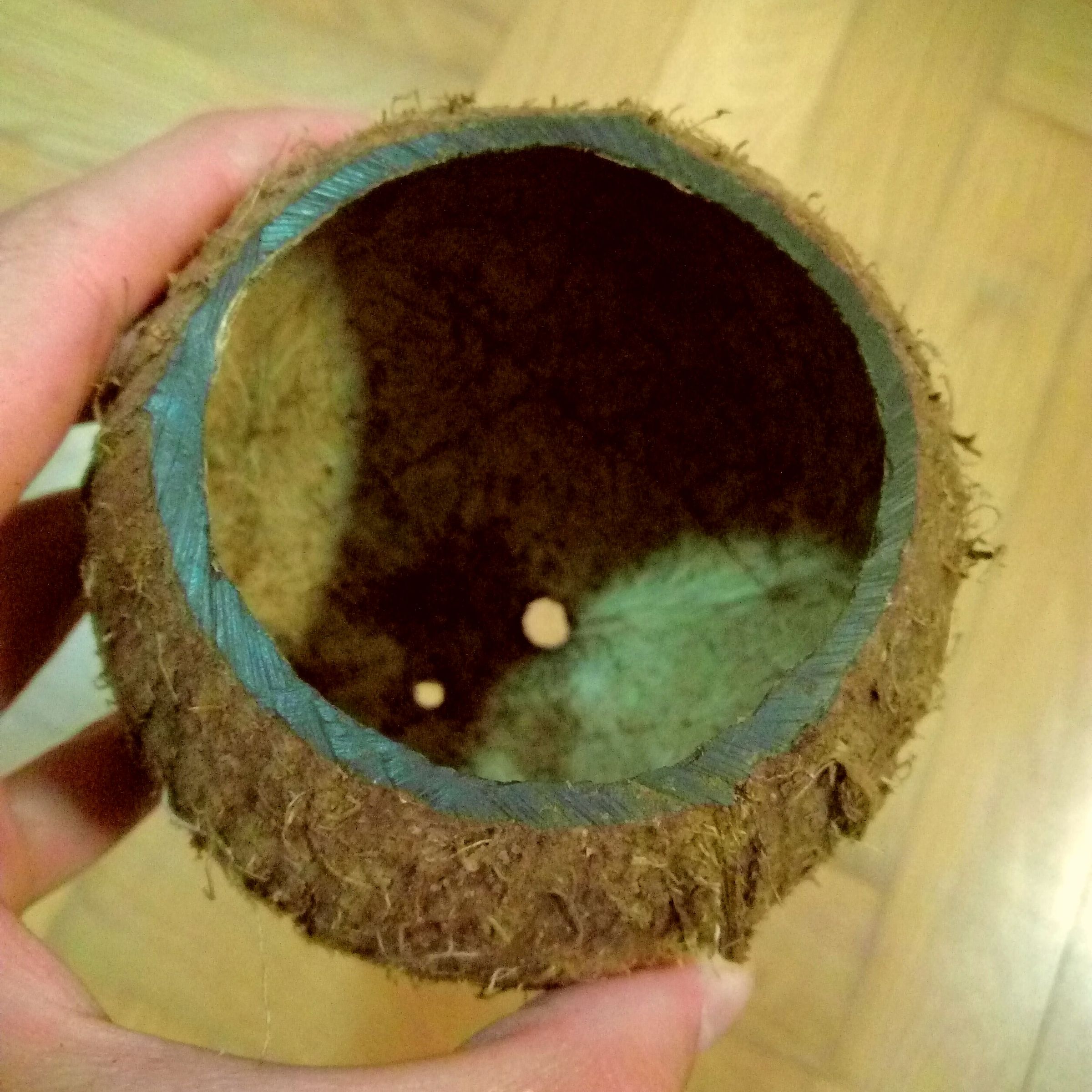 Coconut Desk Lamp : 17 Steps (with Pictures) - Instructables