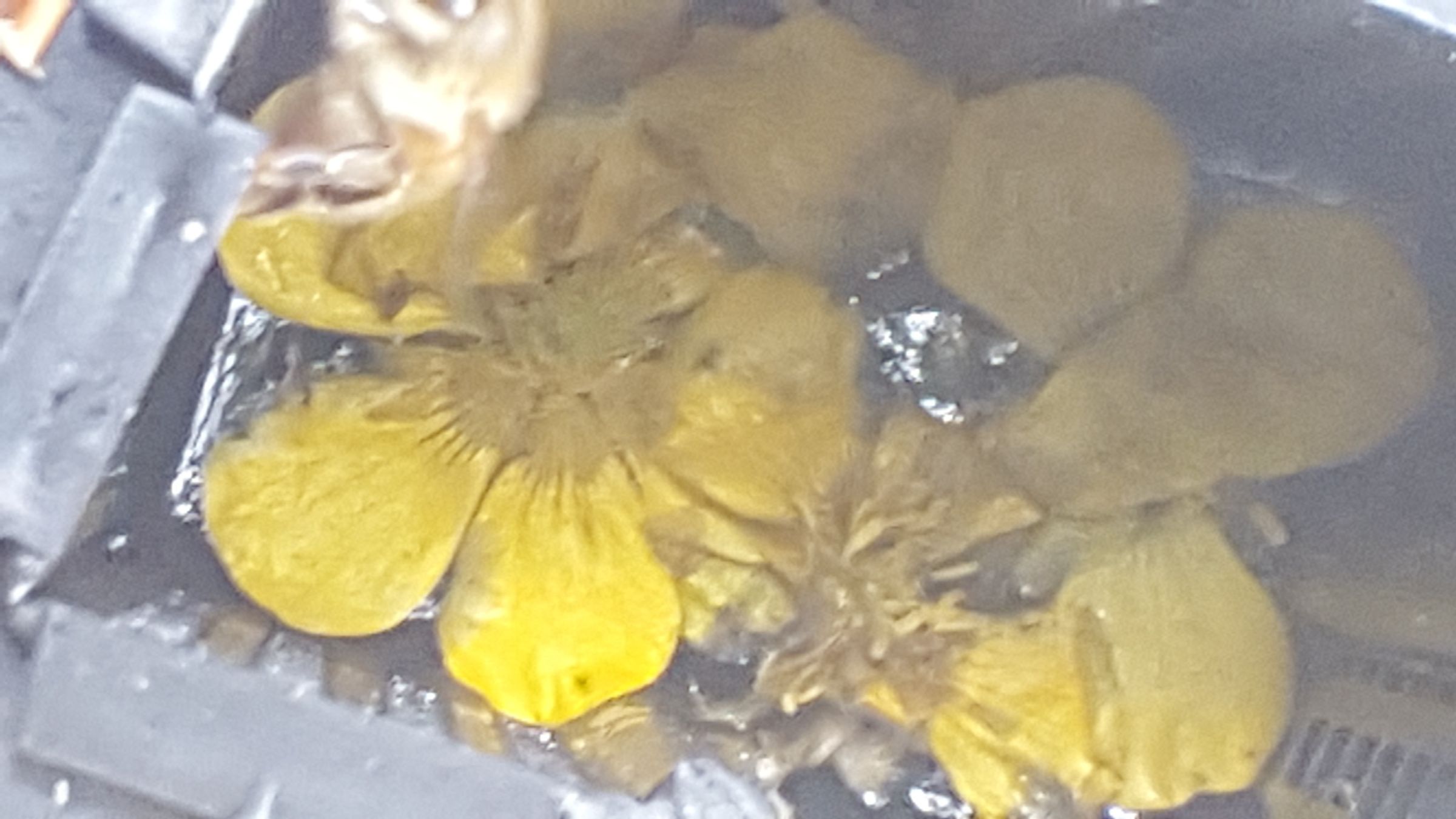 Honey Bee Syrup (with Pictures) - Instructables