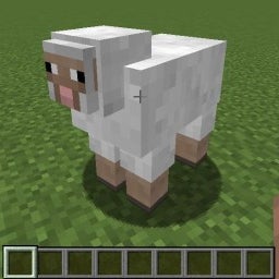 How to Make a Sheep Turn Rainbow Colors : 5 Steps - Instructables