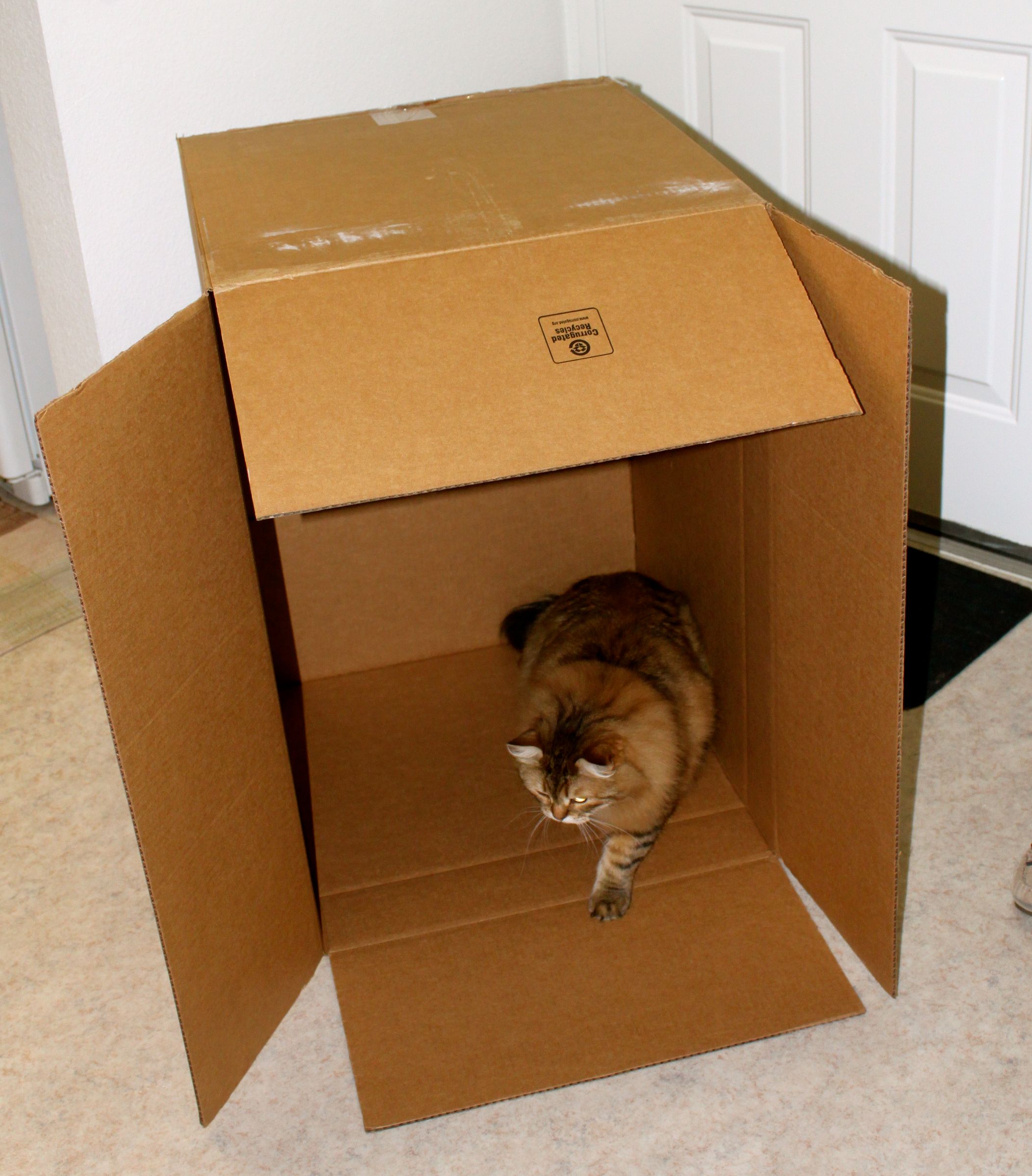 Cardboard Faux Fireplace : 6 Steps (with Pictures) - Instructables