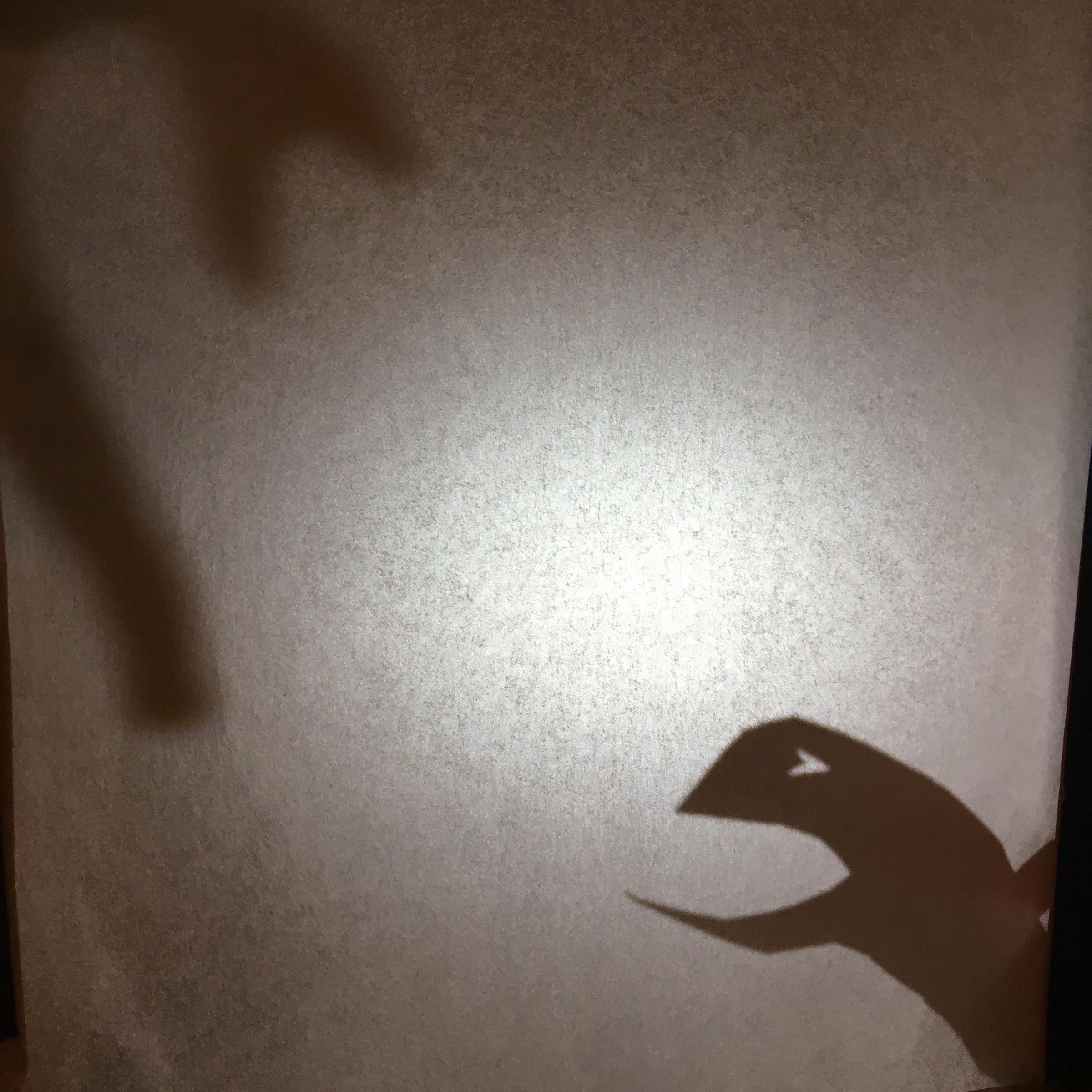 Shadow Stage : 8 Steps (with Pictures) - Instructables