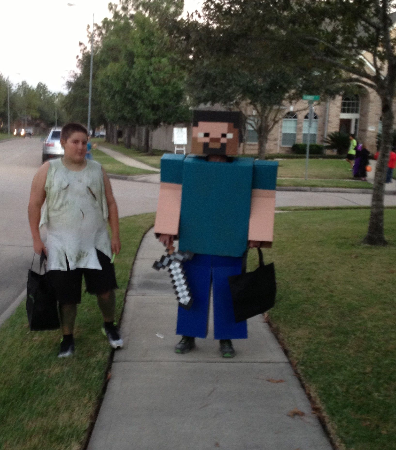 Minecraft Steve Full Costume : 8 Steps (with Pictures) - Instructables