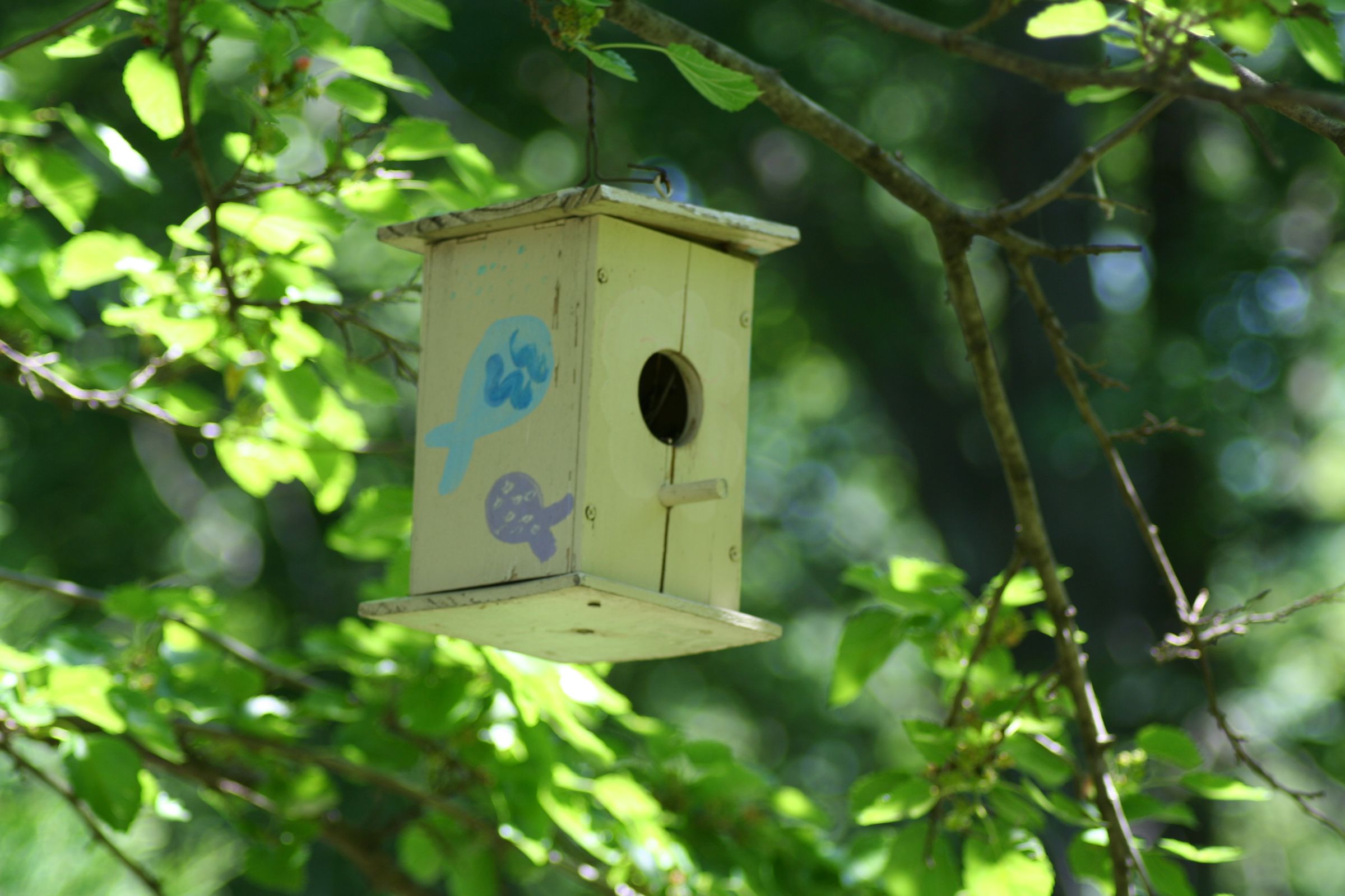 Suburban Habitat for Animals in the Wild : 9 Steps (with Pictures ...