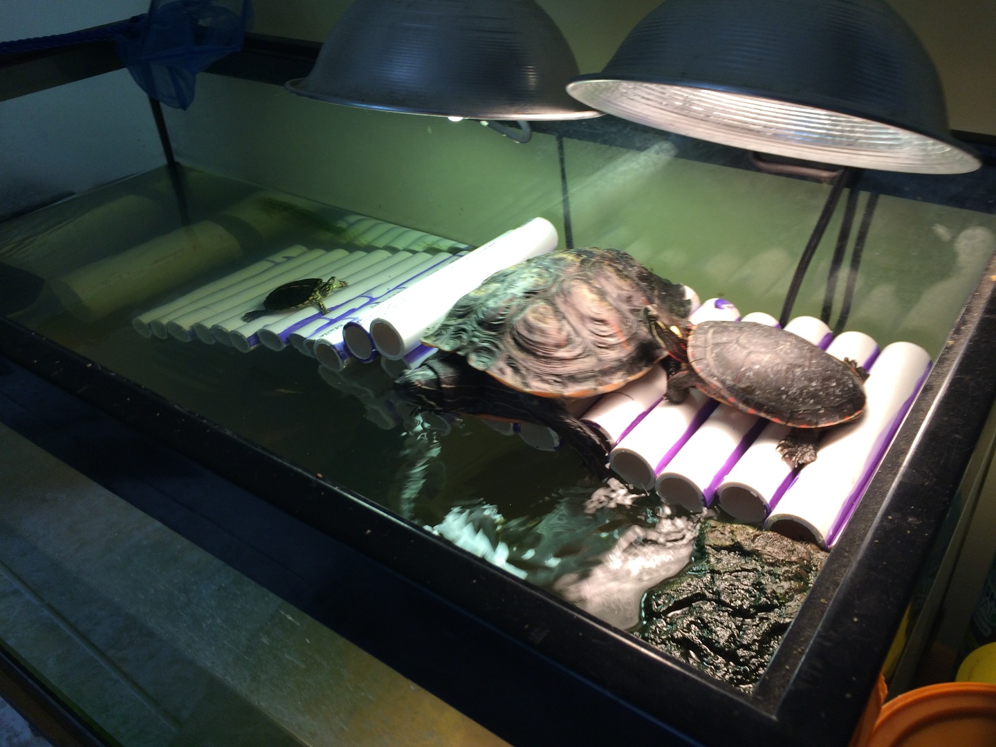 PVC Turtle Dock : 6 Steps - Instructables