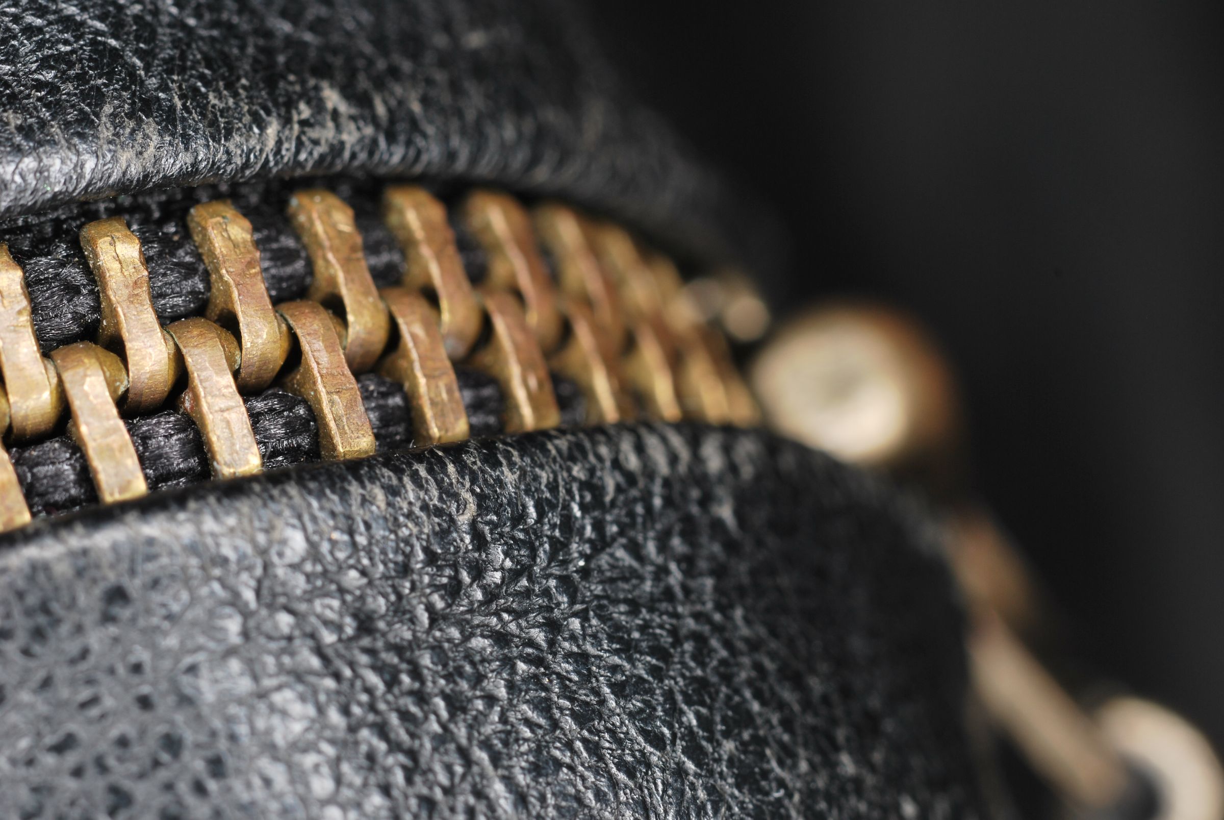 Macro Photography and Photomicroscopy : 9 Steps (with Pictures ...