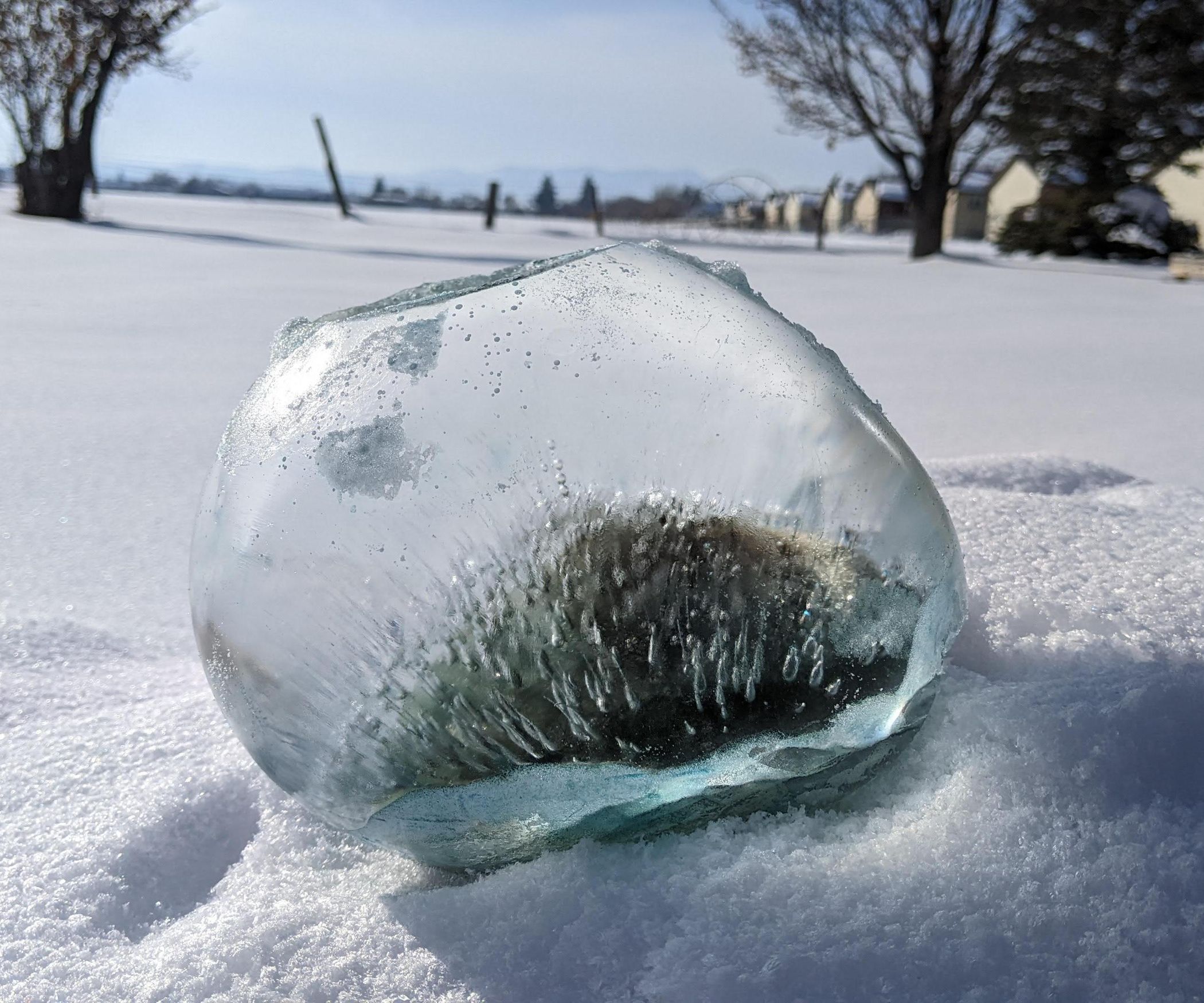 Colorful Frozen Ice Balls : 3 Steps - Instructables