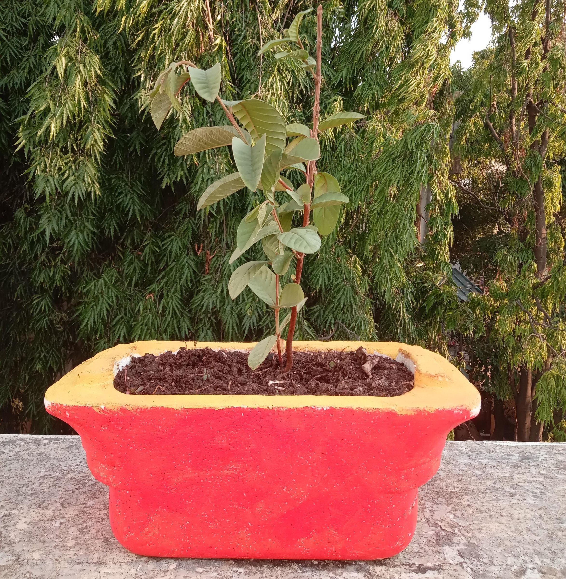 Making Useful Plant Pot From Waste Packaging Material : 9 Steps (with ...