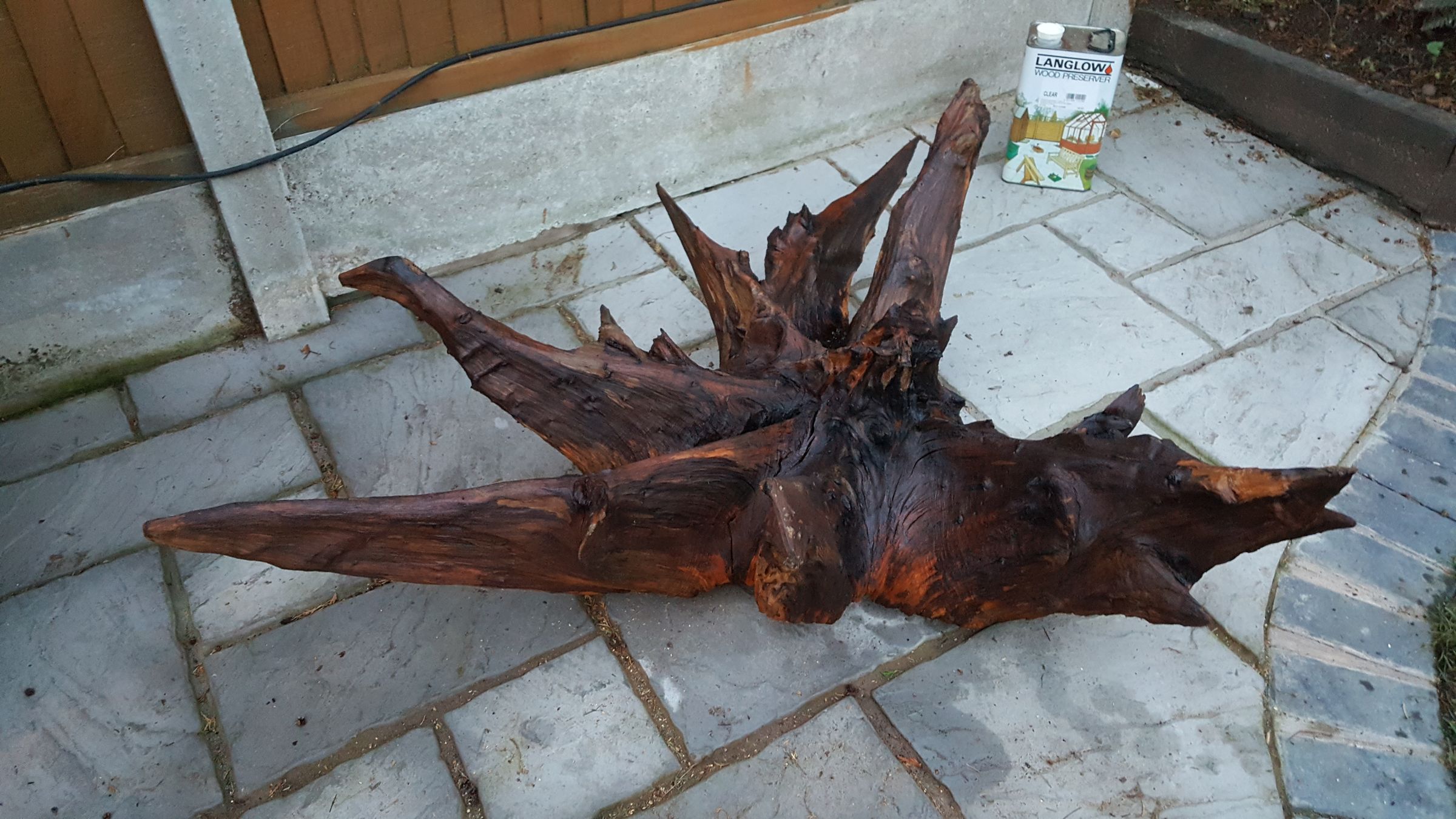 Tree Root Table With Custom Glass Top and Underlight : 10 Steps (with ...