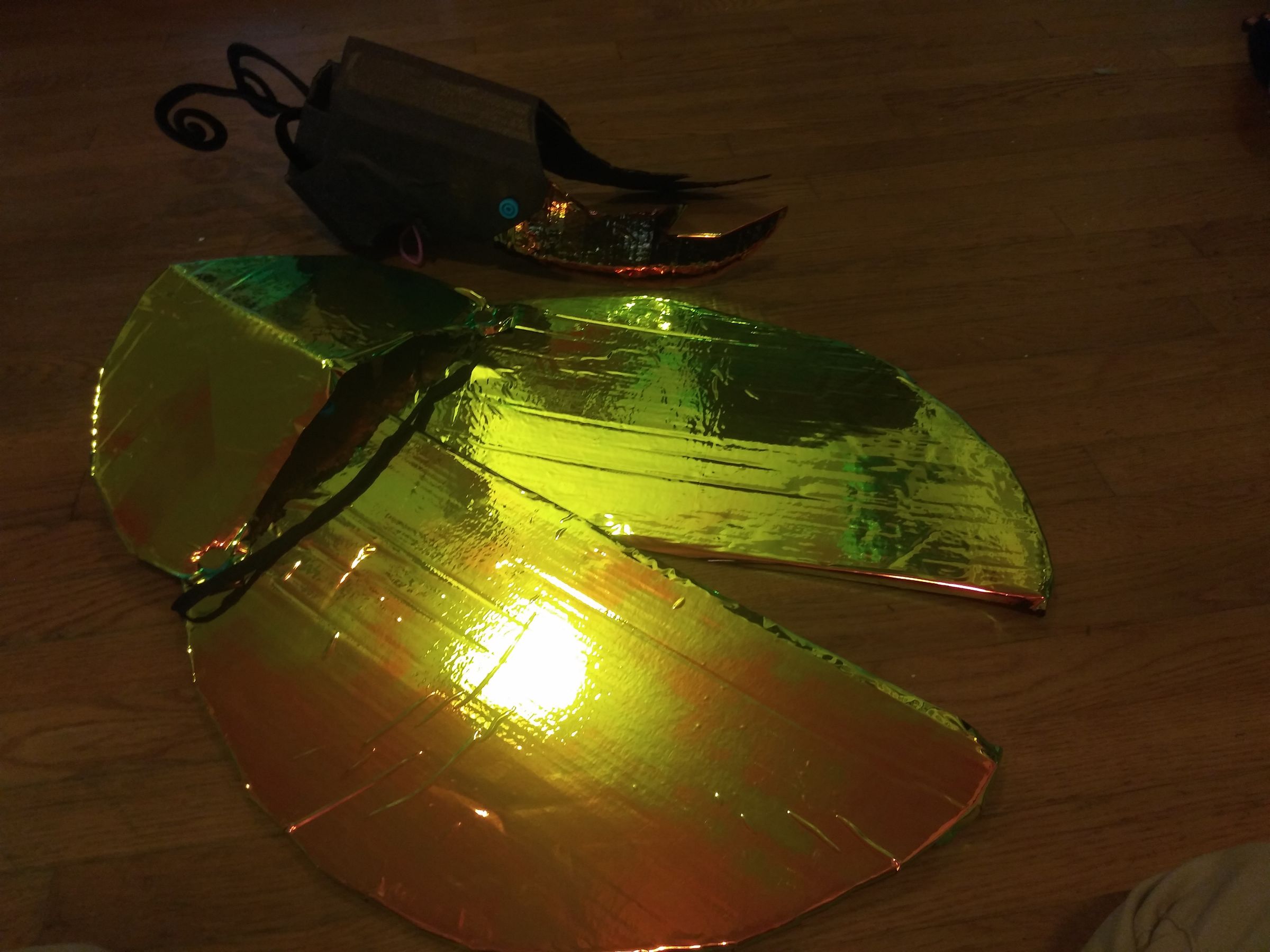 Cardboard Beetle Costume : 4 Steps (with Pictures) - Instructables