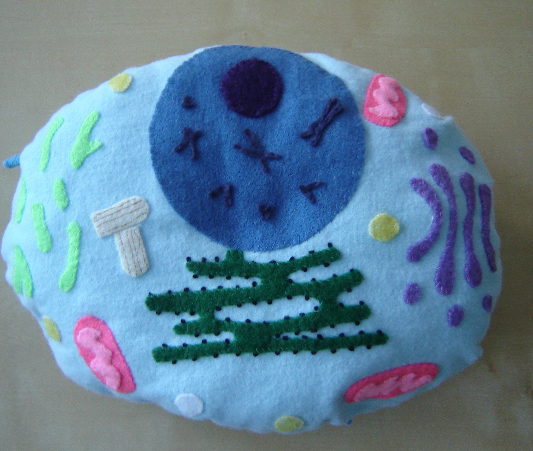 Plush Cell Model : 13 Steps (with Pictures) - Instructables