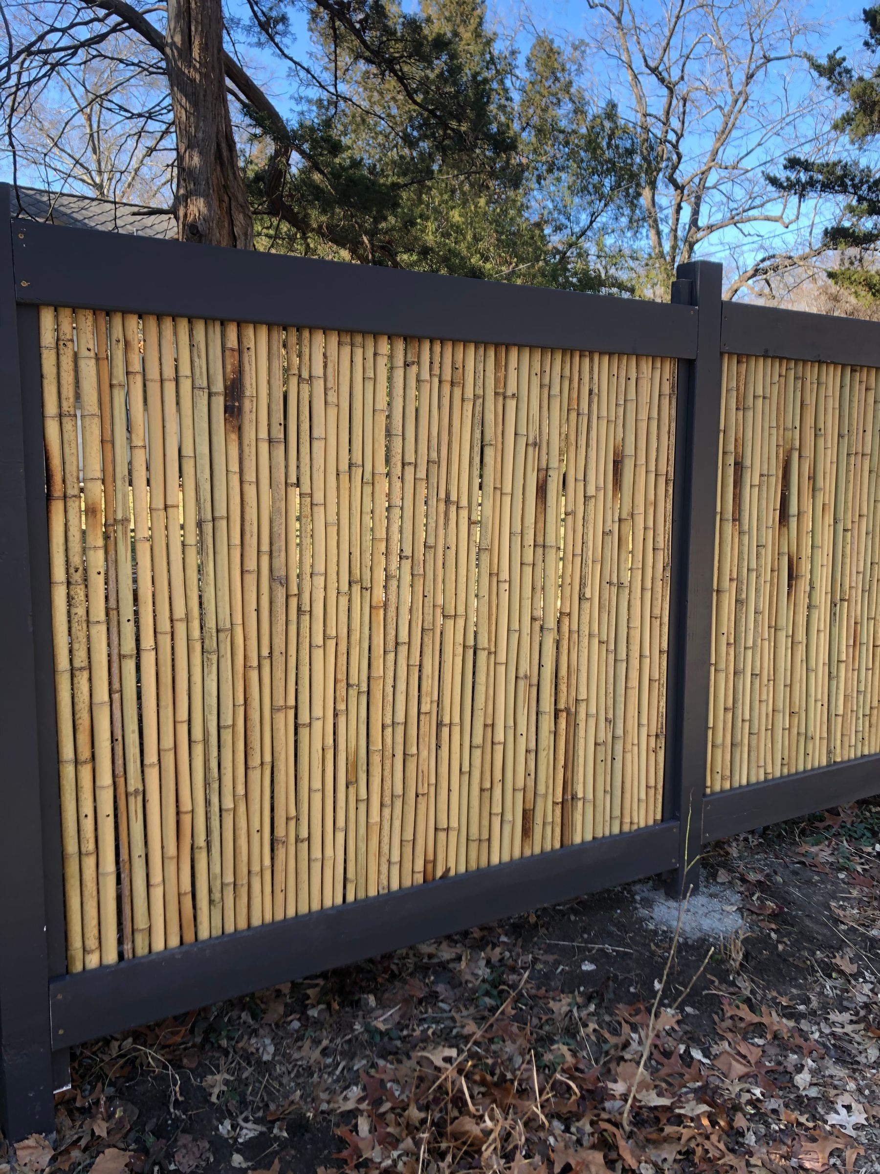 Backyard Bamboo Fence : 4 Steps (with Pictures) - Instructables